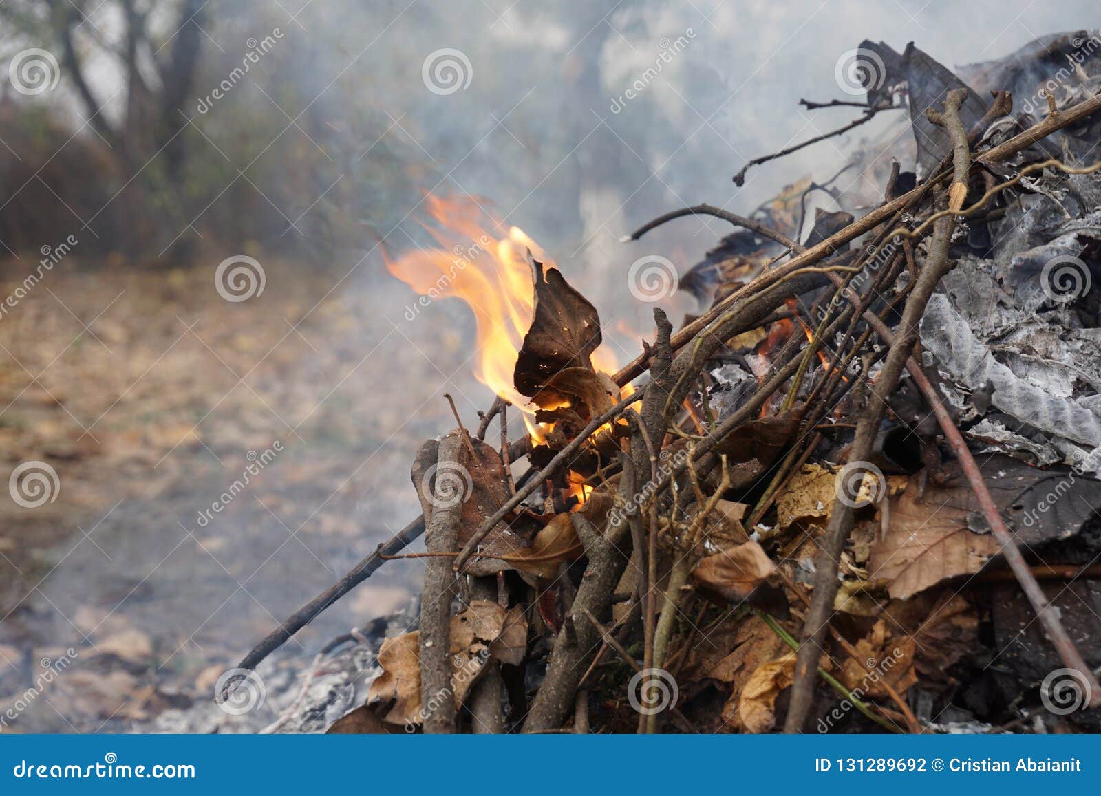 Burning leafs in autumn stock photo. Image of green - 131289692