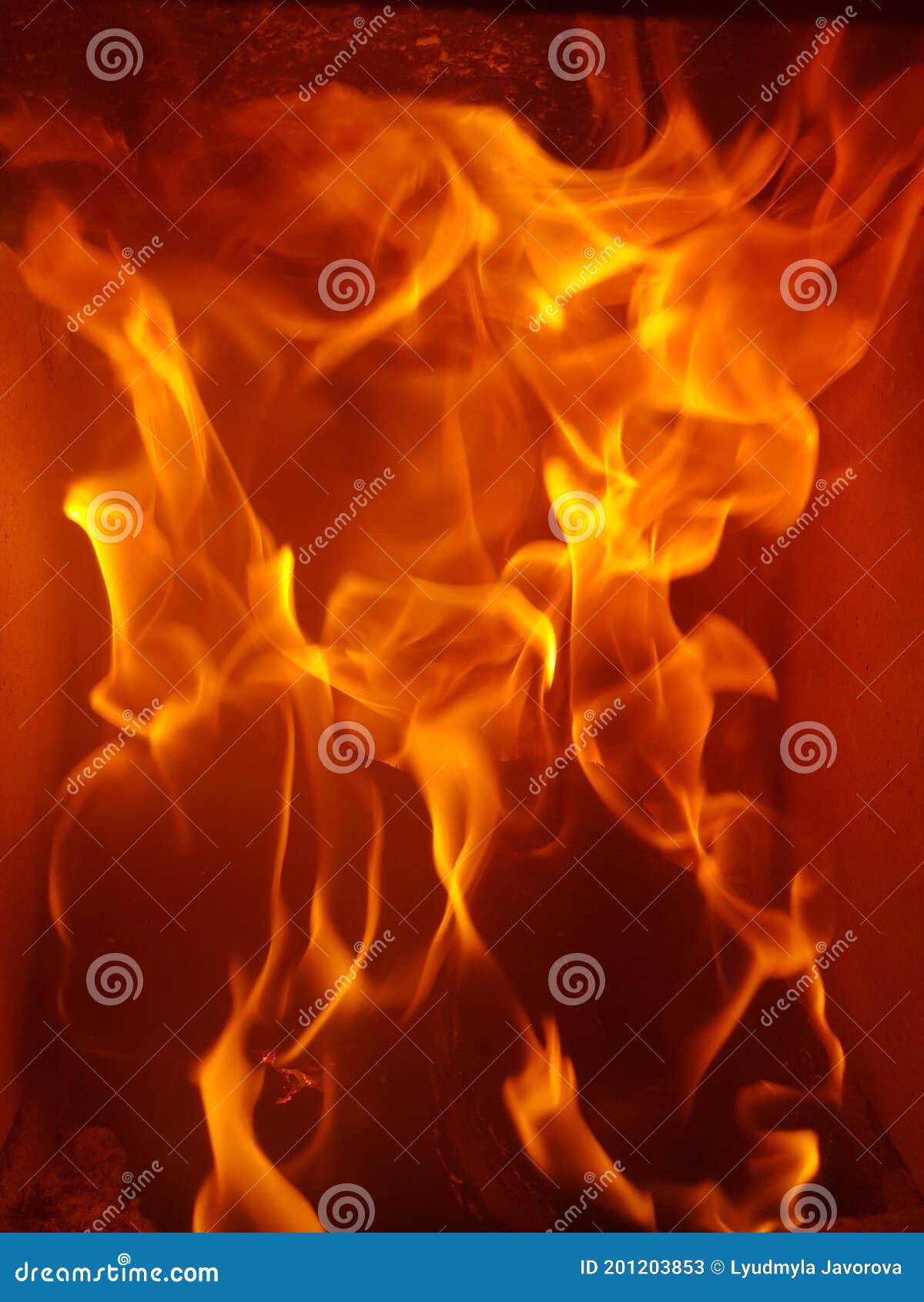 Burning light of fire stock image. Image of petal, lighting - 201203853