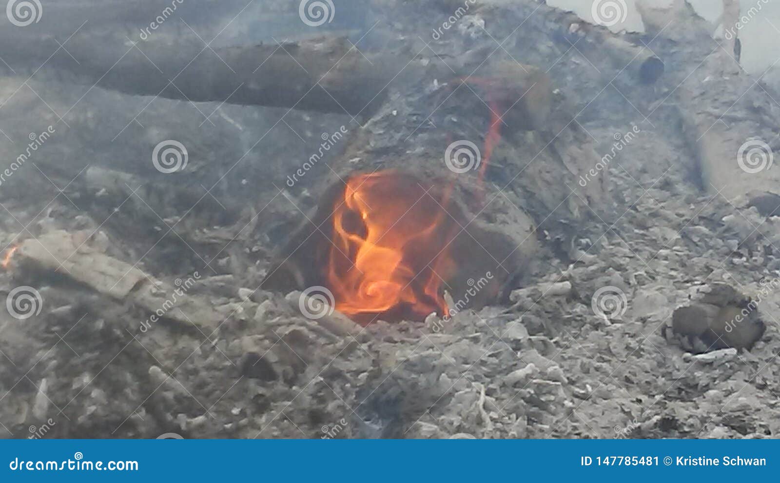 Burning log stock image. Image of fire, burning, smoke - 147785481