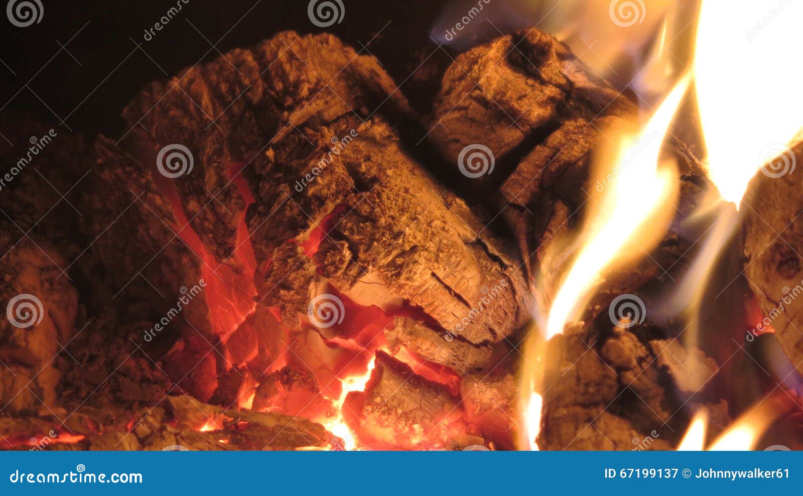 Burning log fire stock image. Image of fire, glowing - 67199137
