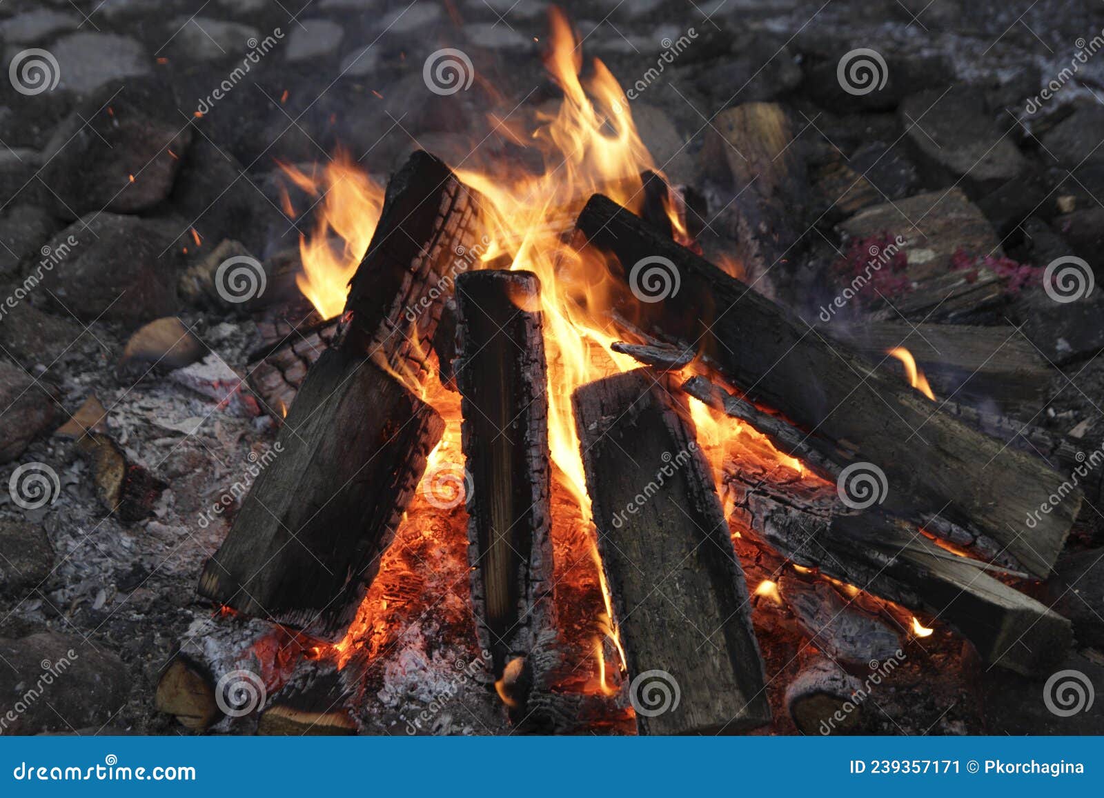 Burning logs with ashes stock image. Image of warm, camp - 239357171