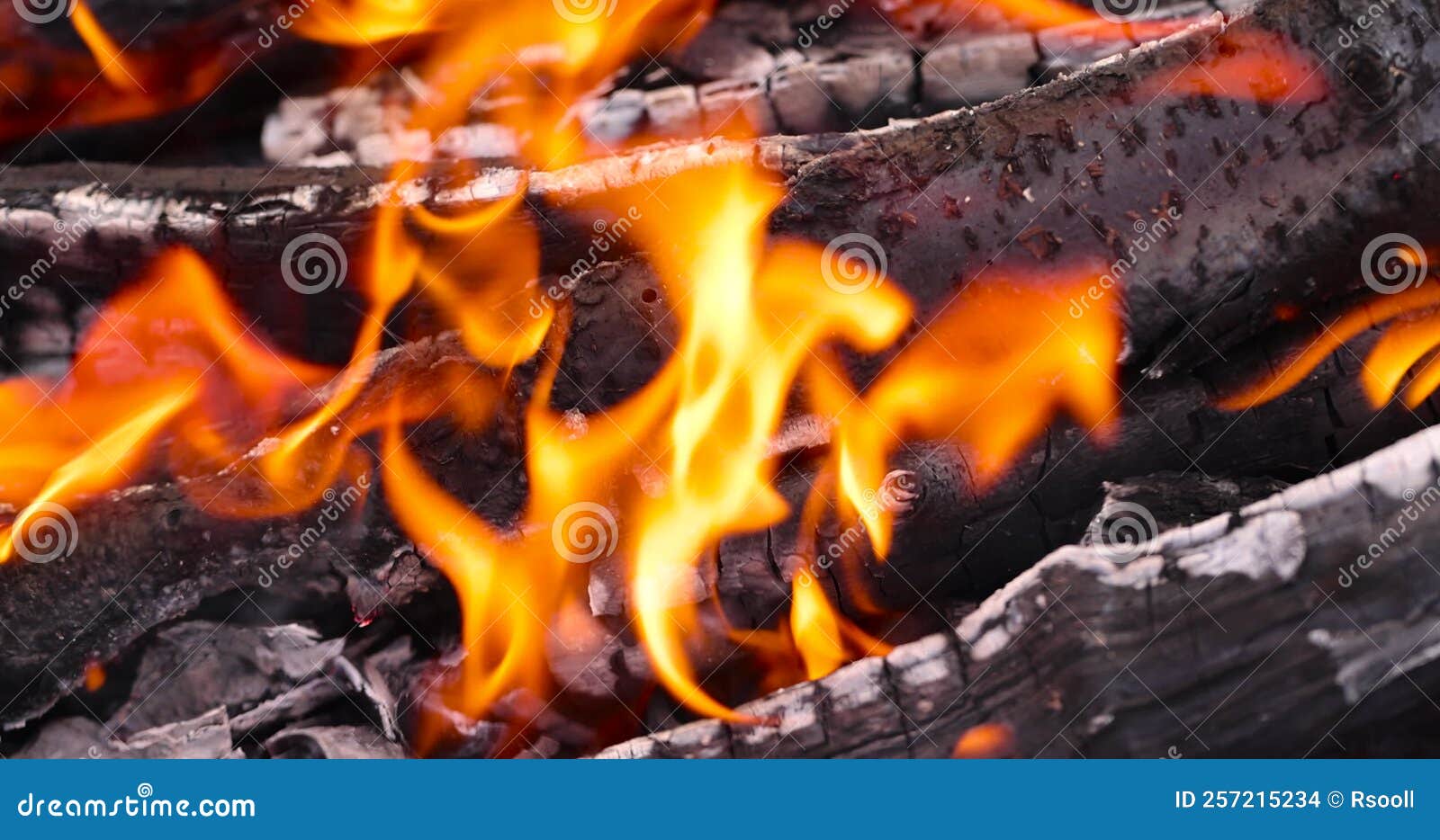 Burning Logs and Boards in the Fire Stock Footage - Video of closeup ...