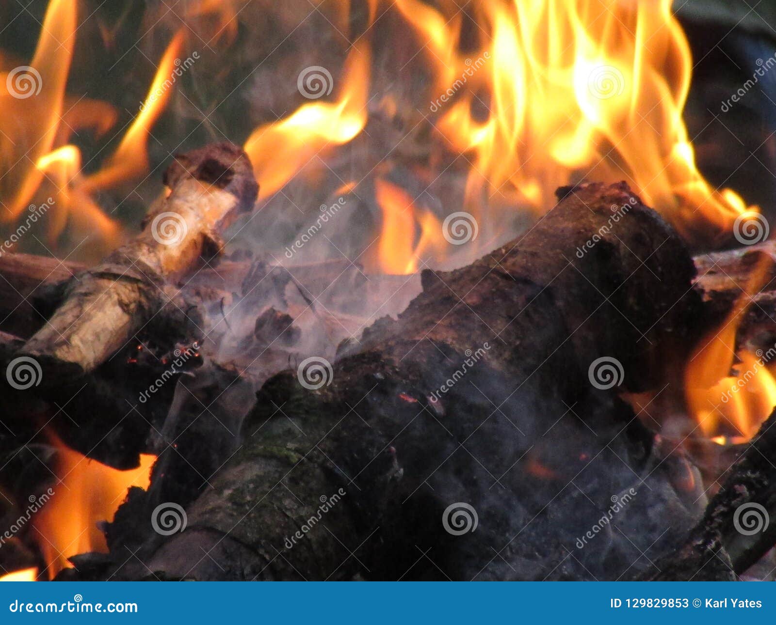 Burning logs stock image. Image of life, logs, camp - 129829853