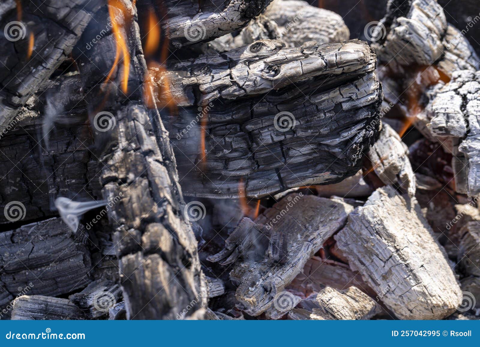 Burning Logs in a Campfire while Cooking and Warming Stock Image ...