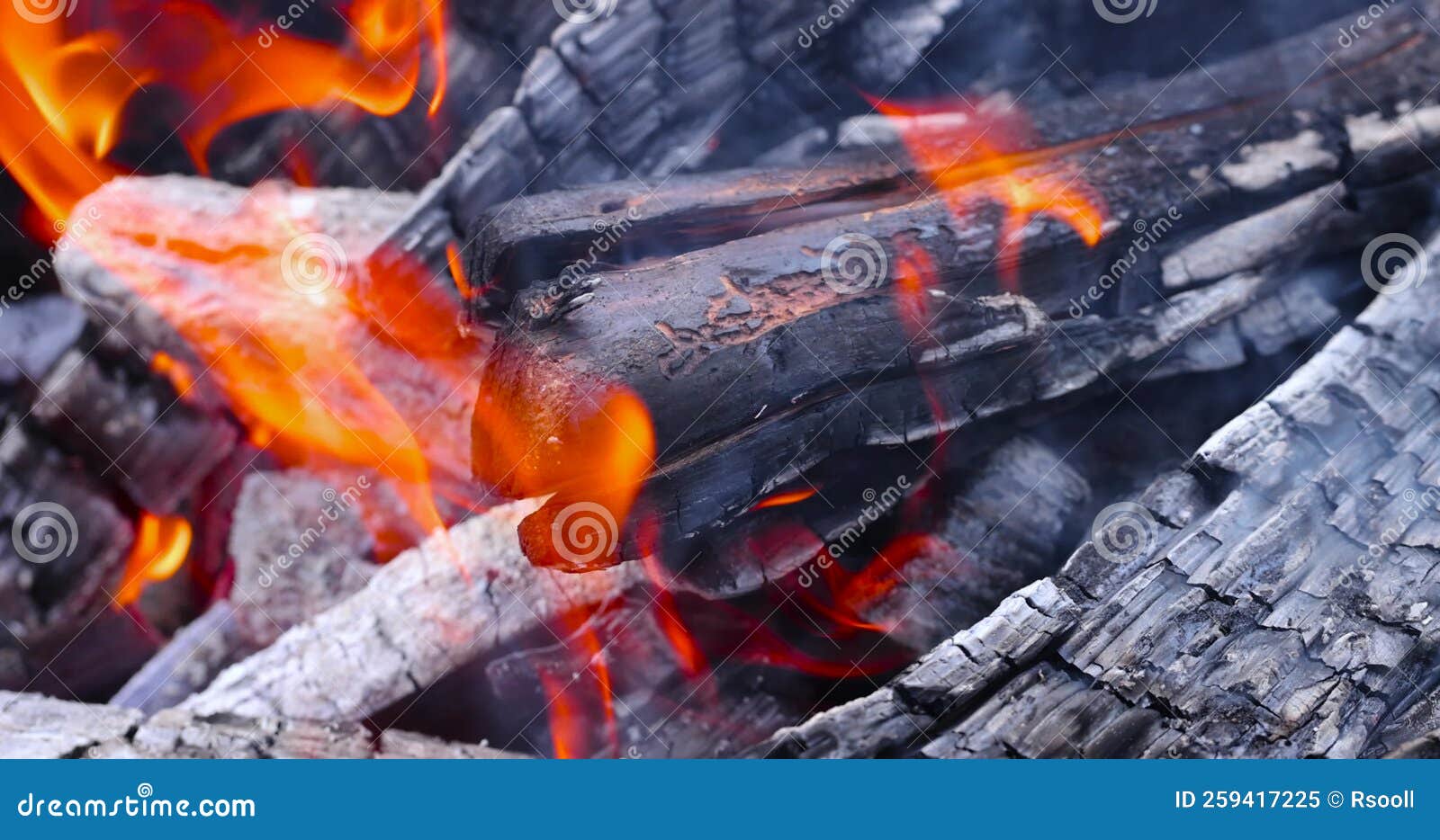 Burning Logs in a Campfire while Cooking and Warming Stock Video ...