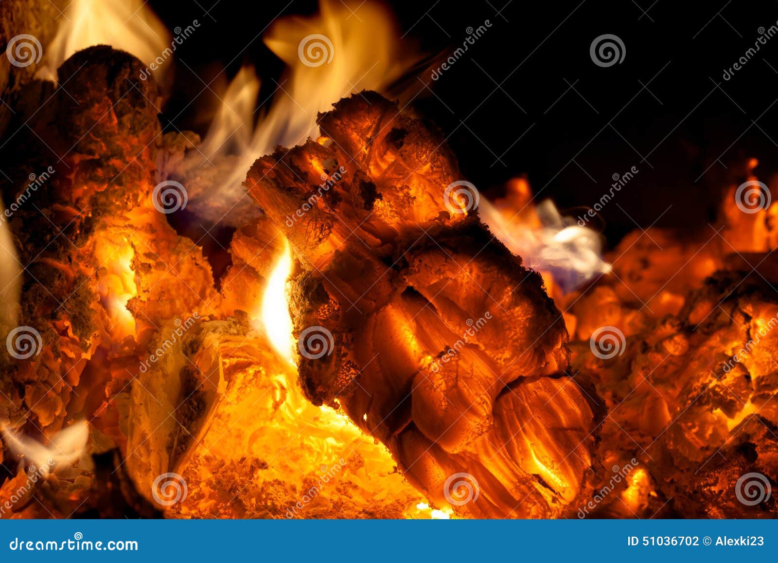 Burning logs stock photo. Image of burning, incinerating - 51036702