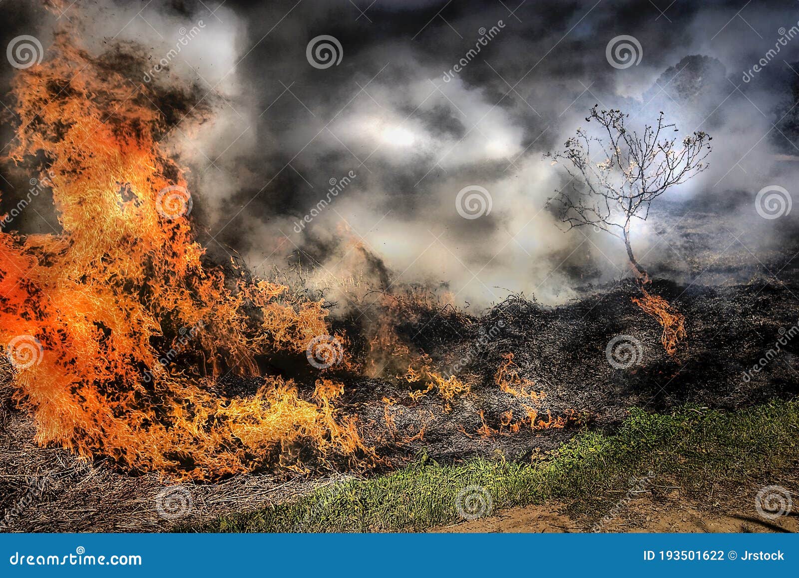 Burning Nature. Bushfires in Australia Stock Photo - Image of fire ...
