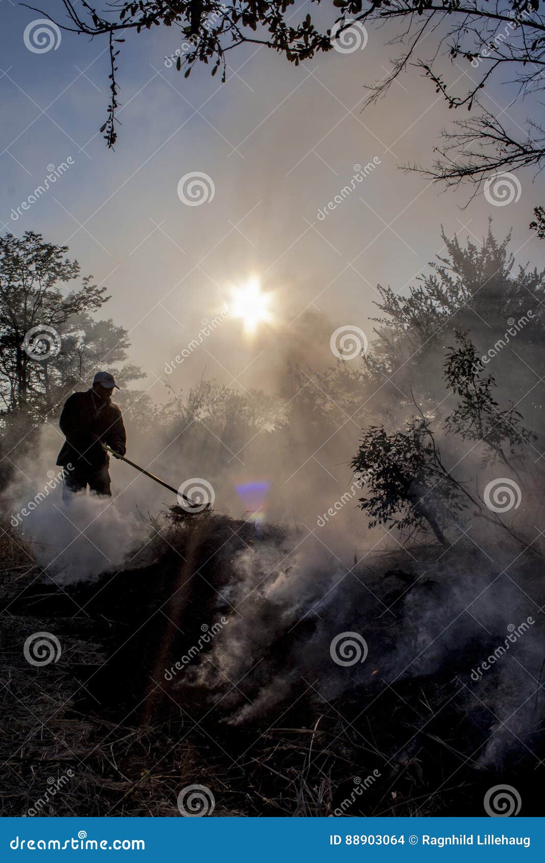 Burning nature stock photo. Image of grass, natures, burn - 88903064