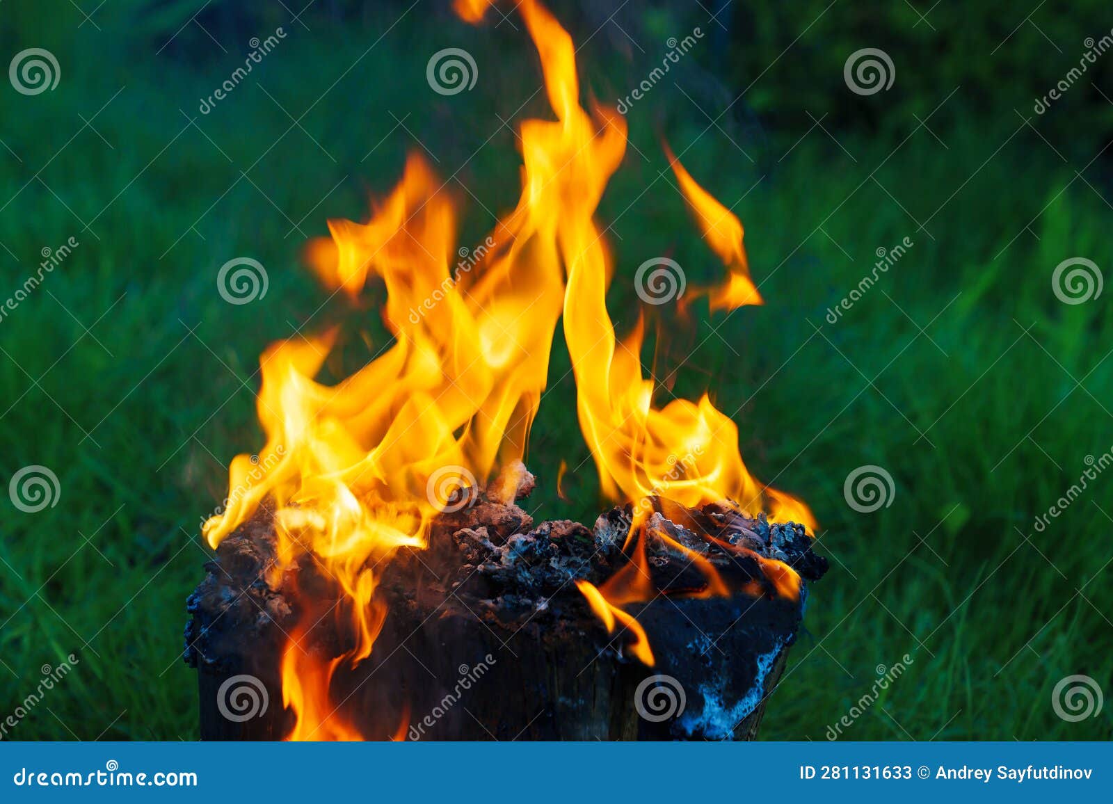 Burning an Object on a Stump in a Meadow. Stock Image - Image of damage ...