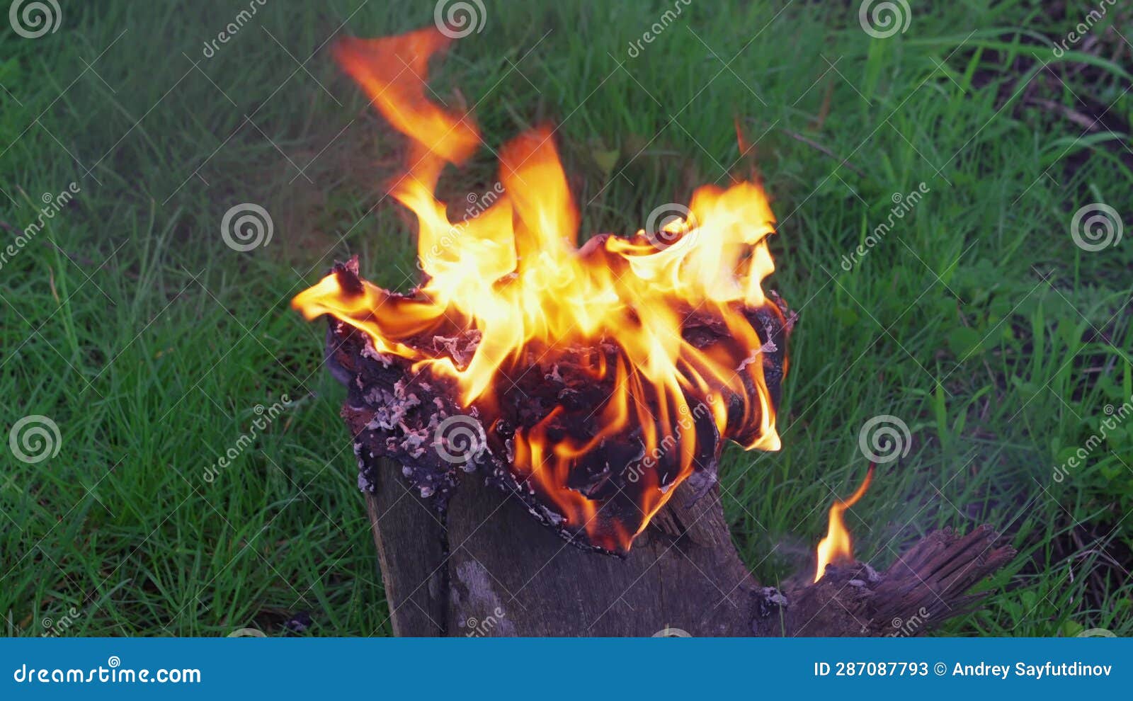 Burning an Object on a Stump in a Meadow. Stock Video - Video of burnt ...