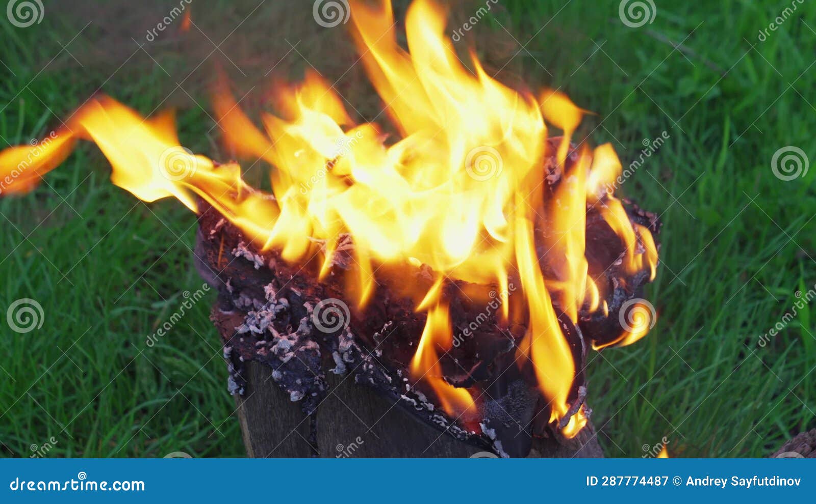 Burning an Object on a Stump in a Meadow. Stock Video - Video of smoke ...