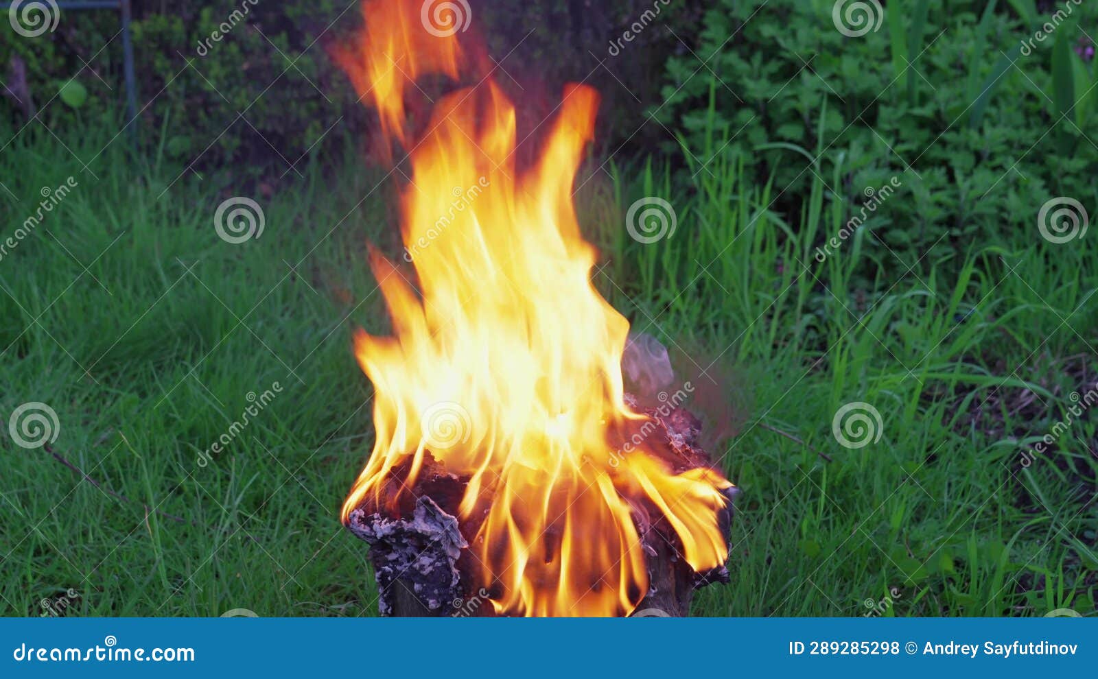 Burning an Object on a Stump in a Meadow. Stock Footage - Video of ...