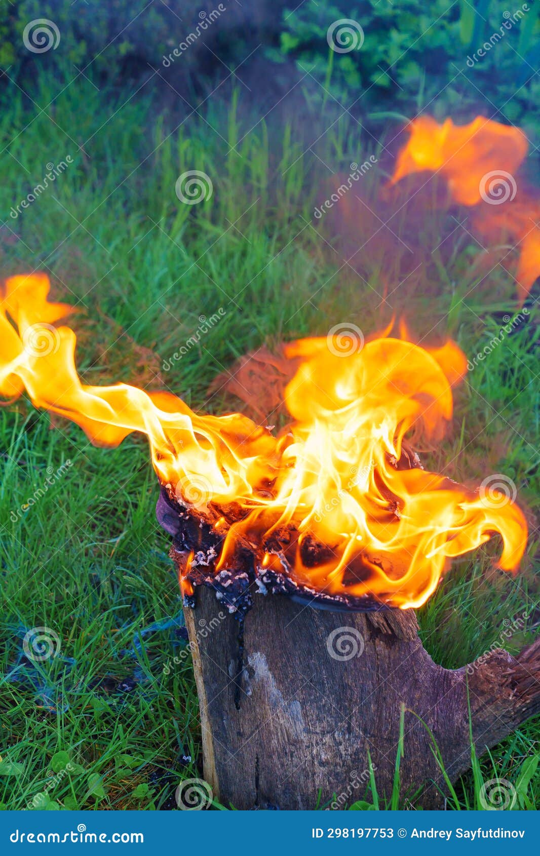 Burning an Object on a Stump in a Meadow. Stock Image - Image of ...
