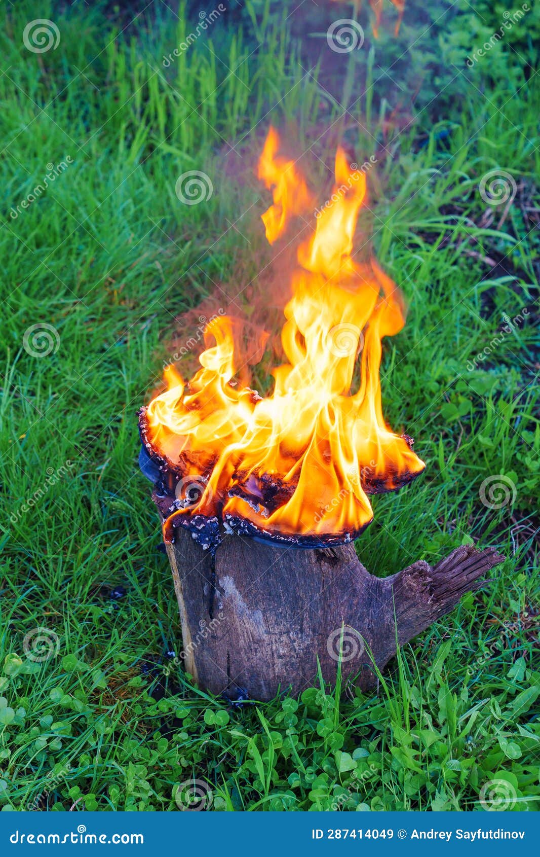 Burning an Object on a Stump in a Meadow. Stock Image - Image of change ...