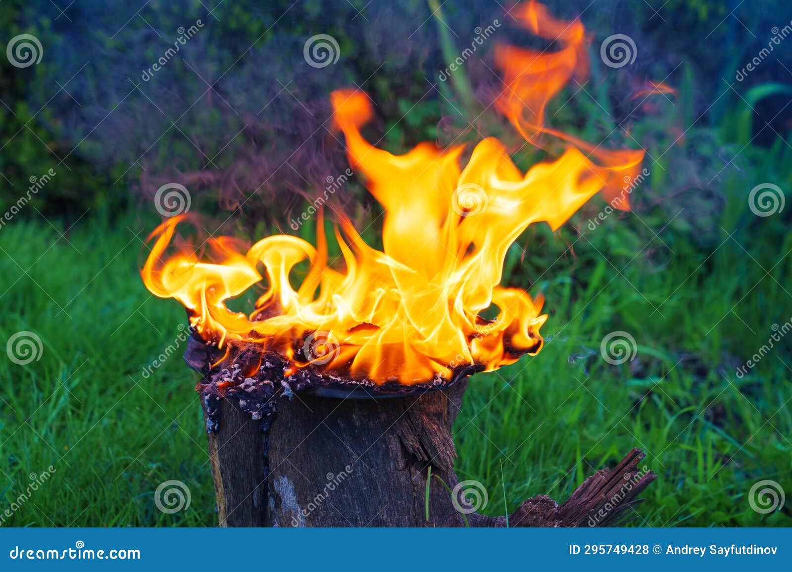 Burning an Object on a Stump in a Meadow. Stock Photo - Image of ...