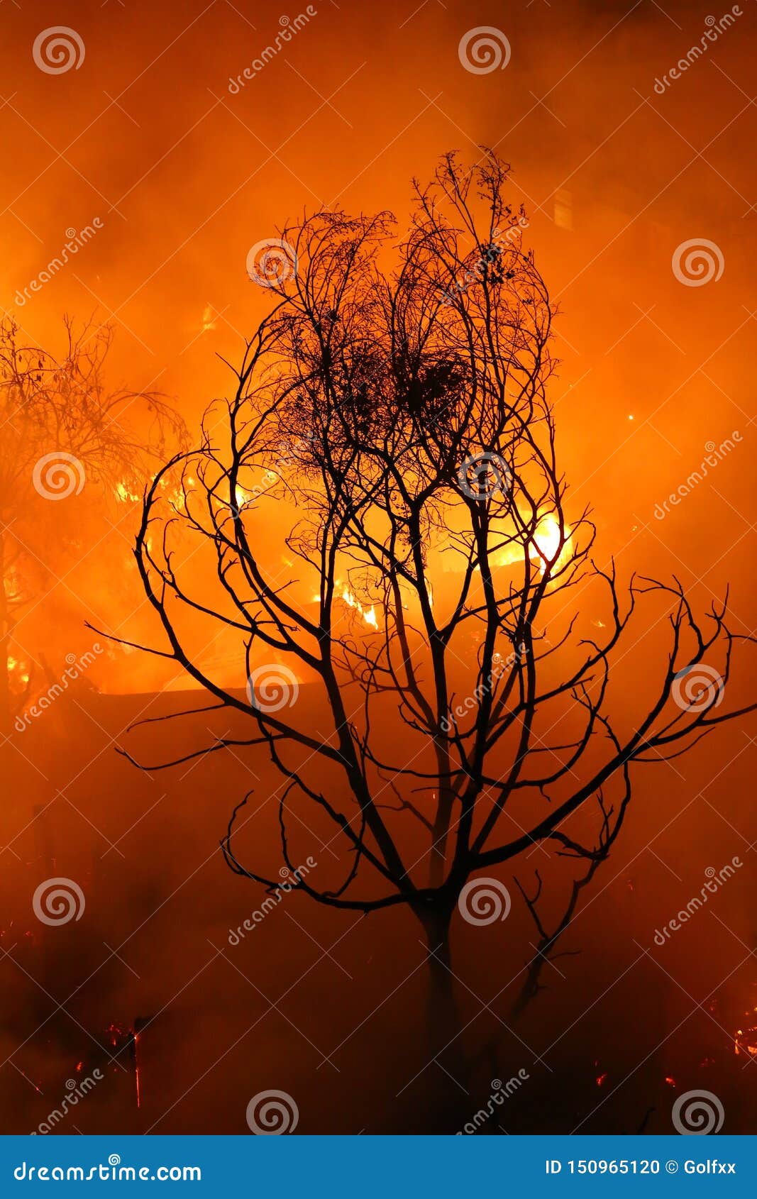 Burning Old Abandoned House in the City at Dusk Stock Photo - Image of ...