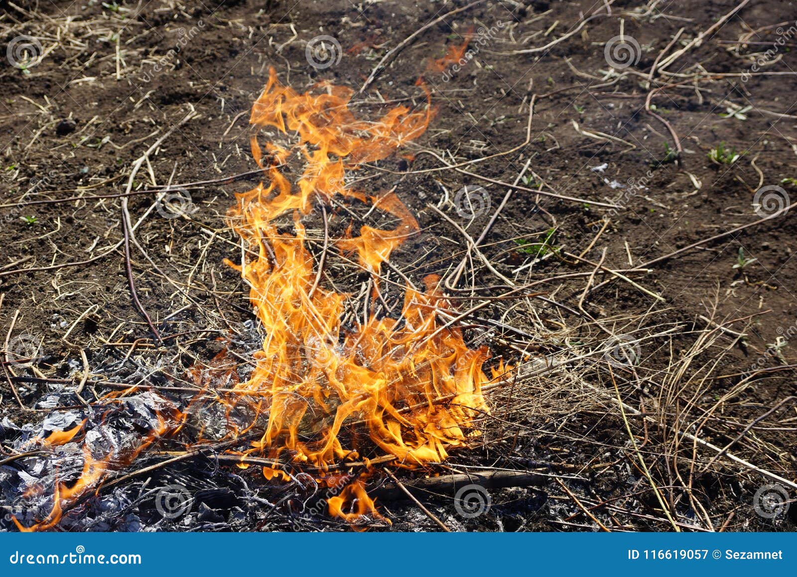 Burning the old dry grass stock image. Image of power - 116619057