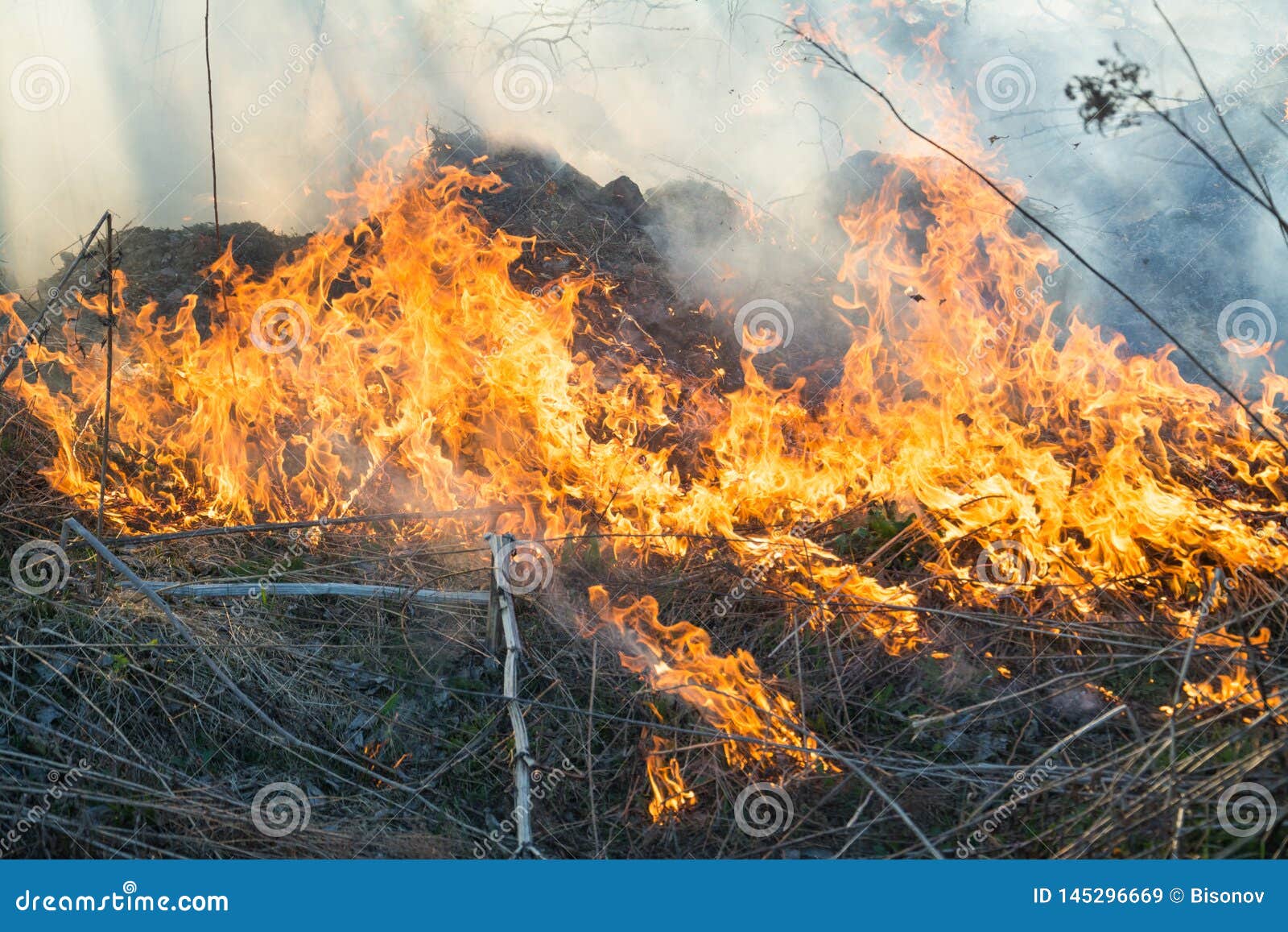 Burning Old Grass in the Field Stock Image - Image of country ...