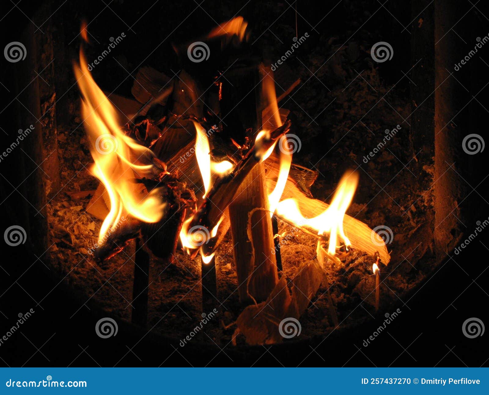 Burning bonfire stock photo. Image of font, campfire - 257437270