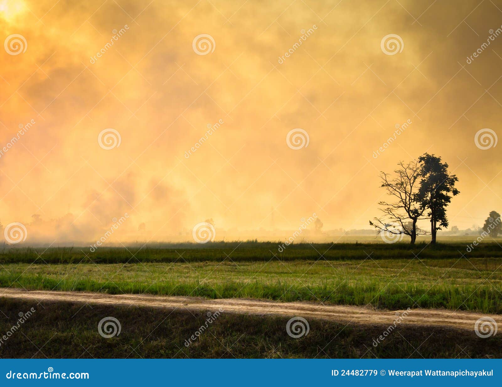 Burning paddy stock image. Image of burnt, damage, global - 24482779