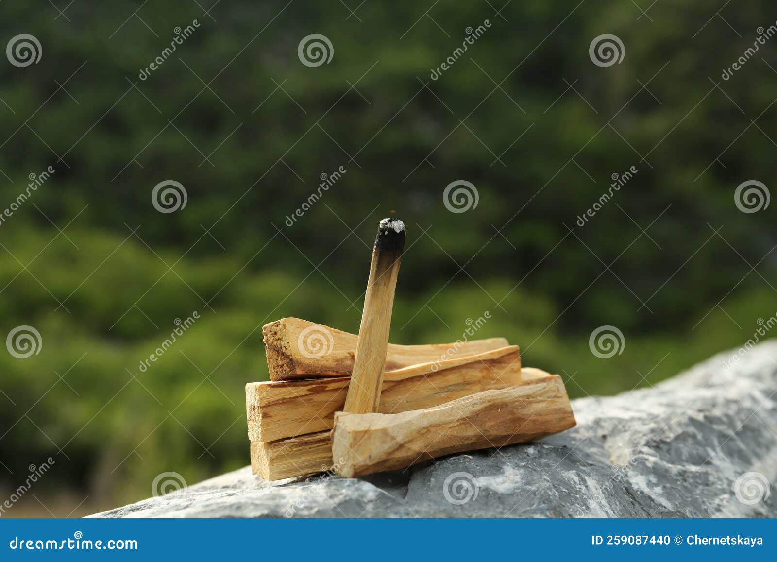 Burning Palo Santo Stick on Stone Surface Outdoors, Closeup Stock Photo ...