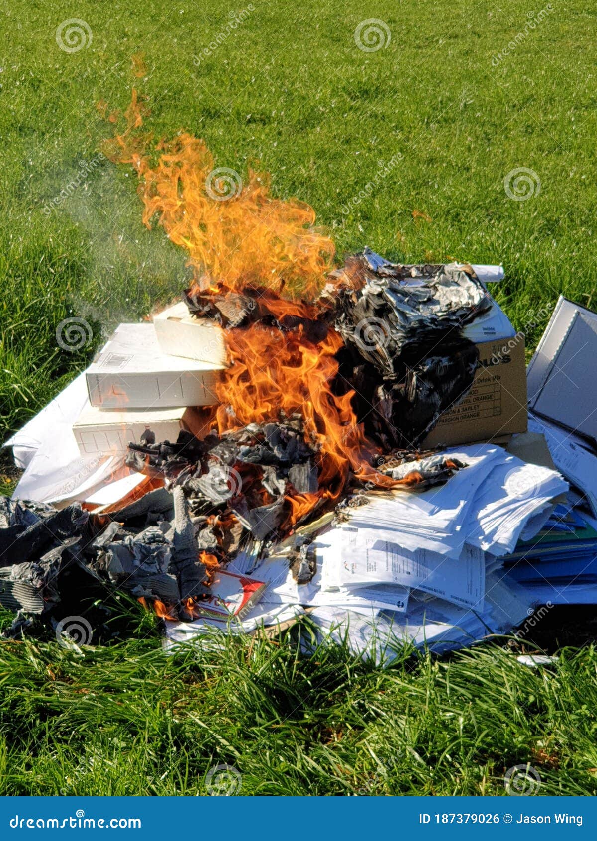 Burning Paperwork editorial photo. Image of grass, field - 187379026