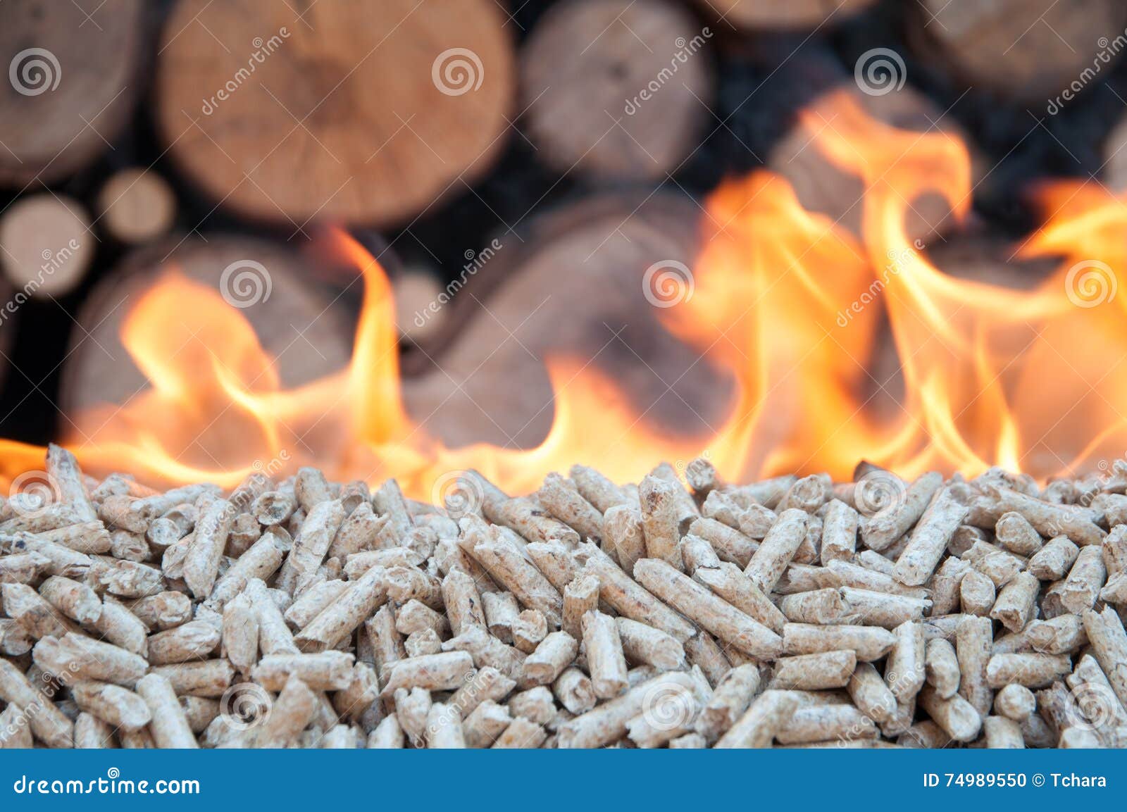 Burning Pellets stock photo. Image of brown, hand, ecological - 74989550