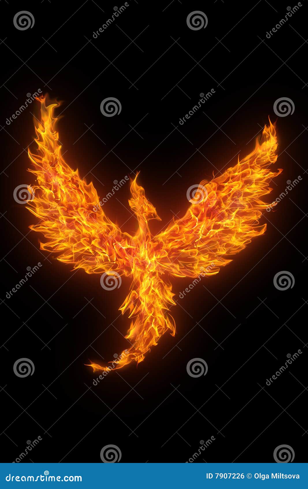 Burning Phoenix Isolated Over Black Stock Photo - Image of burn ...