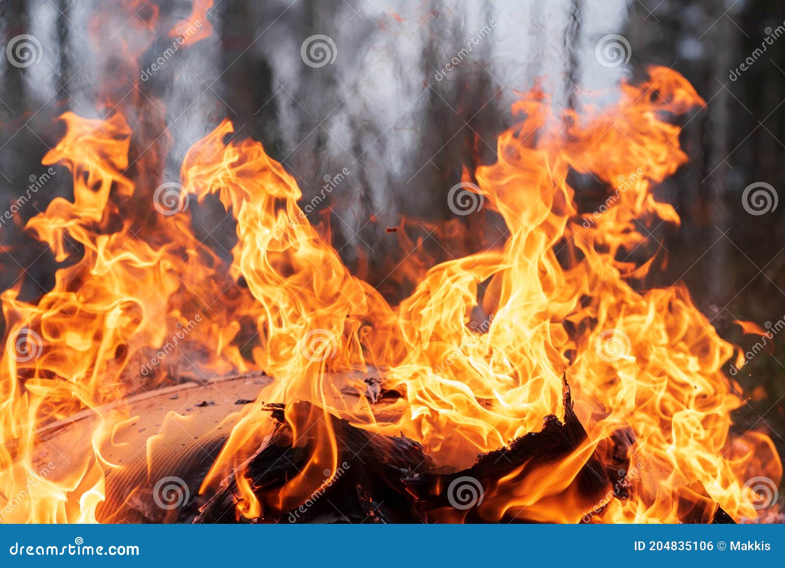 Fire Flames, Burning Pile of Cardboard and Waste Paper Stock Photo ...