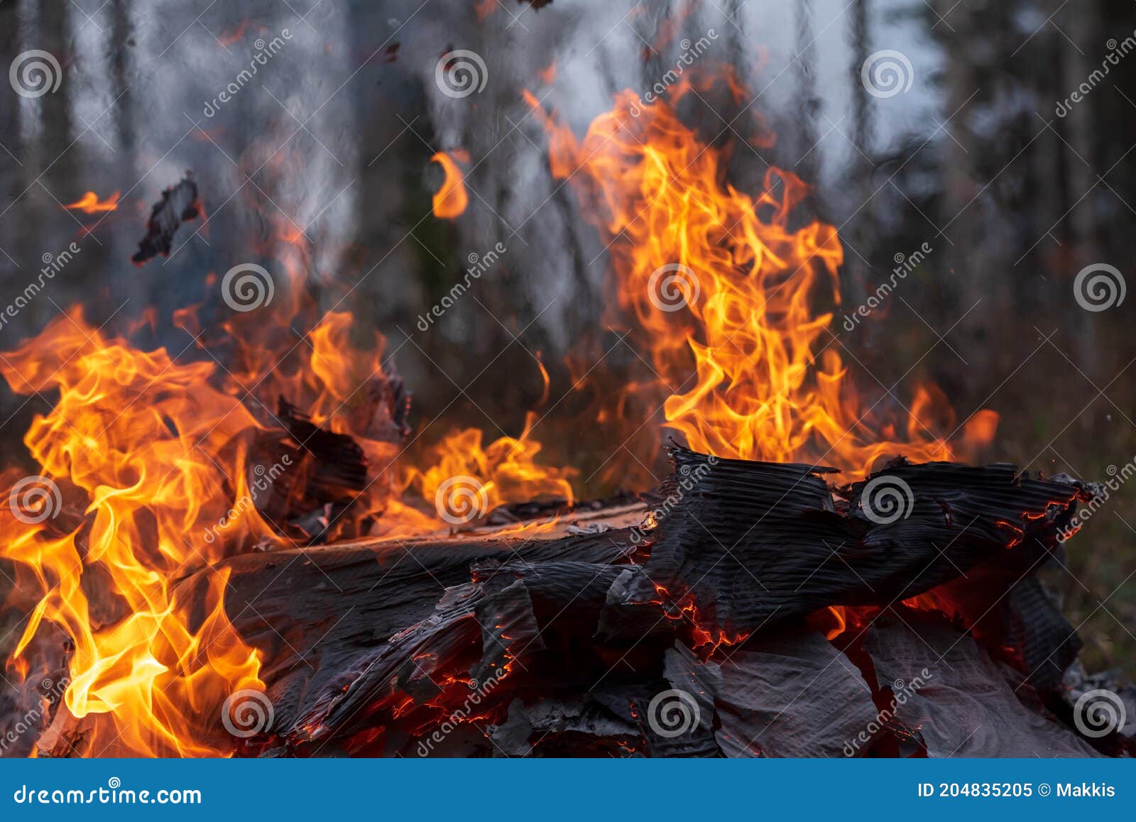 Fire Flames, Burning Pile of Cardboard and Waste Paper Stock Image ...