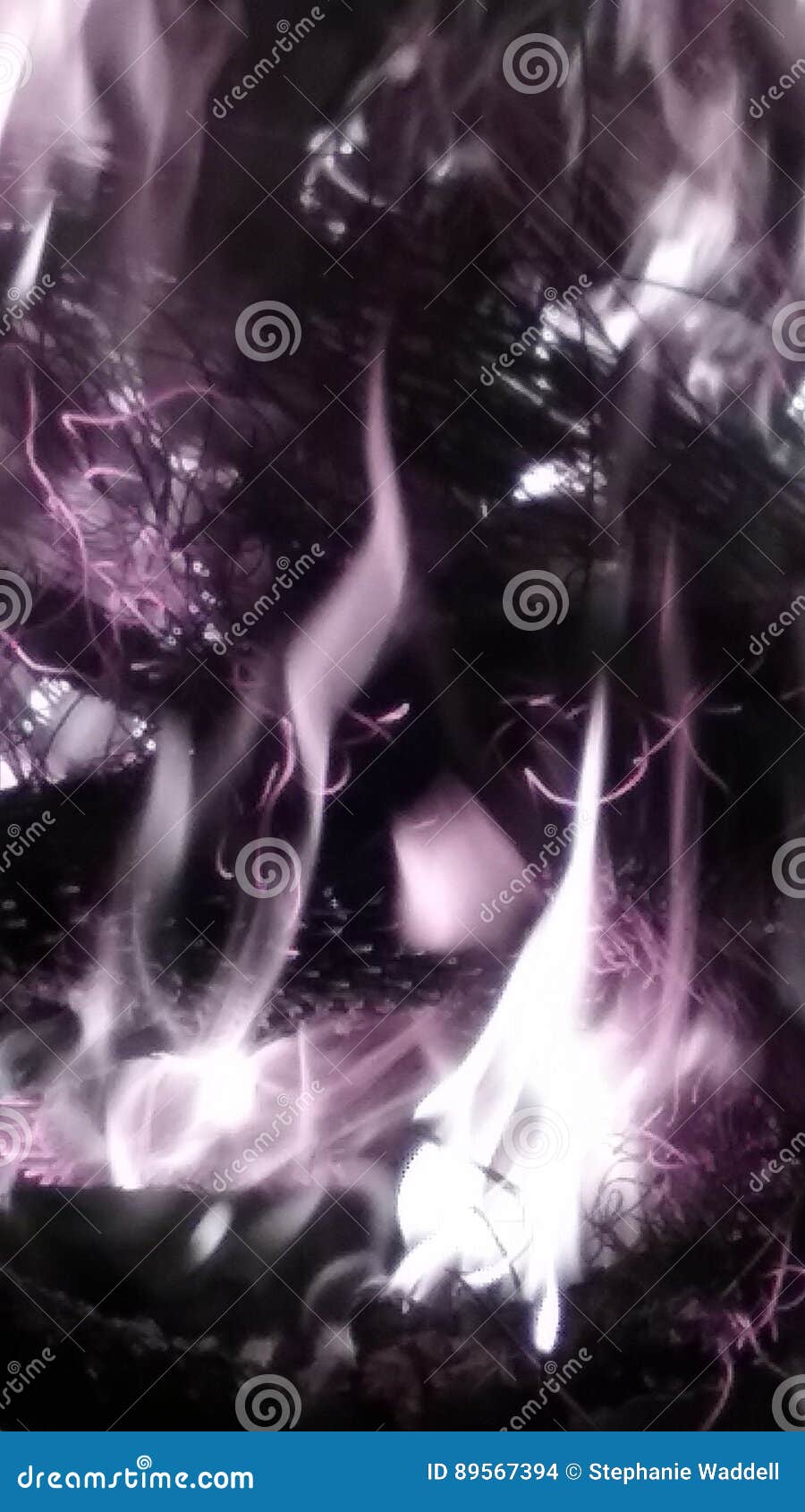Burning pine stock photo. Image of tree, melting, violet - 89567394