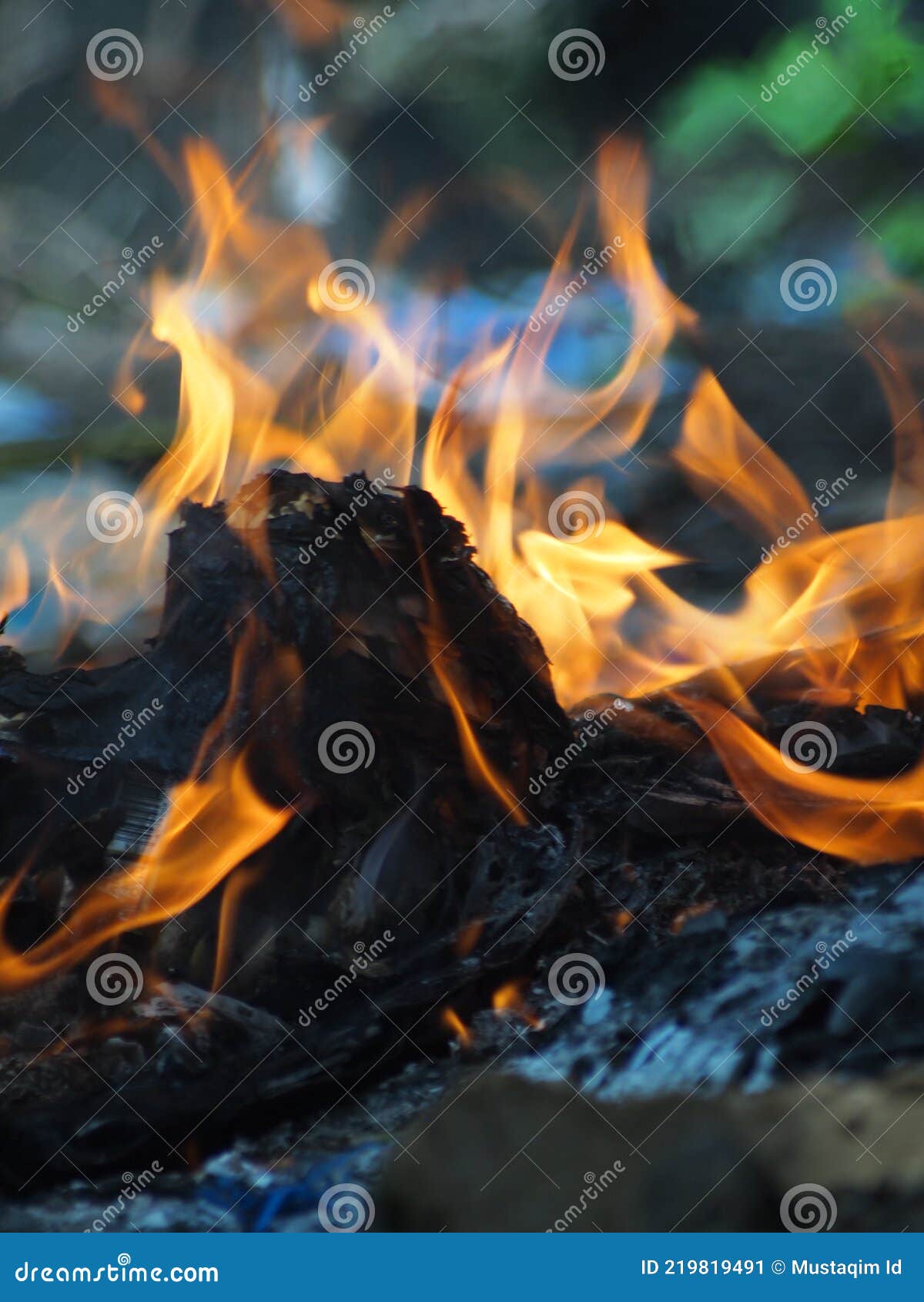 Burning plastic waste stock image. Image of quail, yang - 219819491