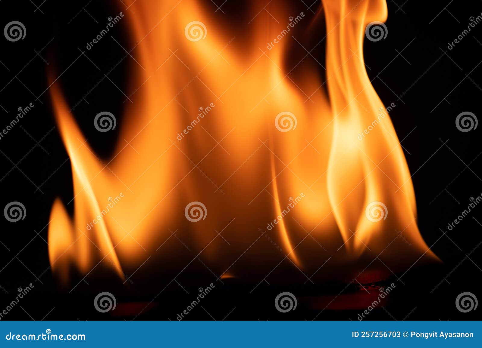 Burning Power of the Flame, Flames, and Burning Sparks Close-up, Fire ...