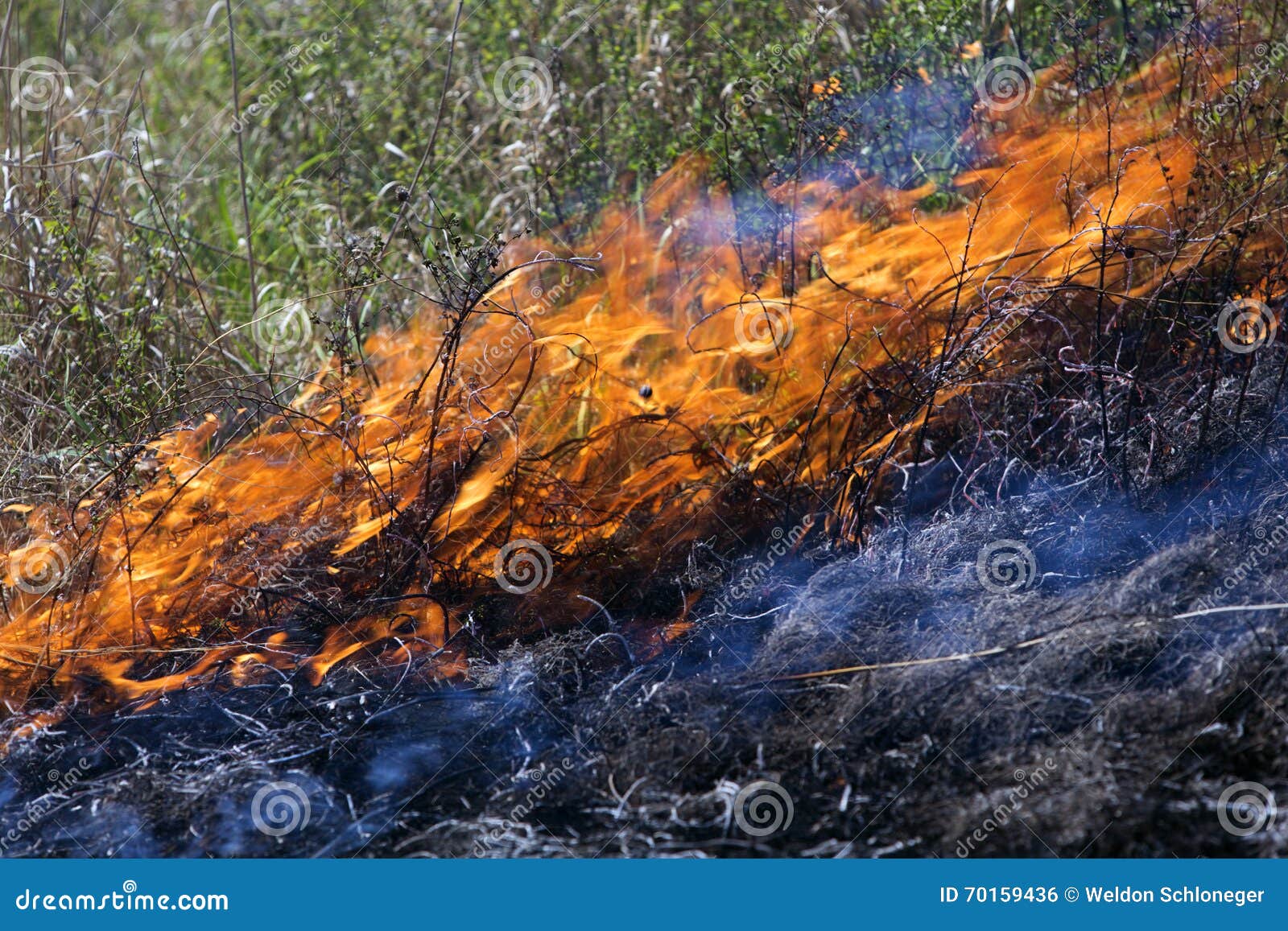 Burning prairie grass stock photo. Image of smoke, heat - 70159436