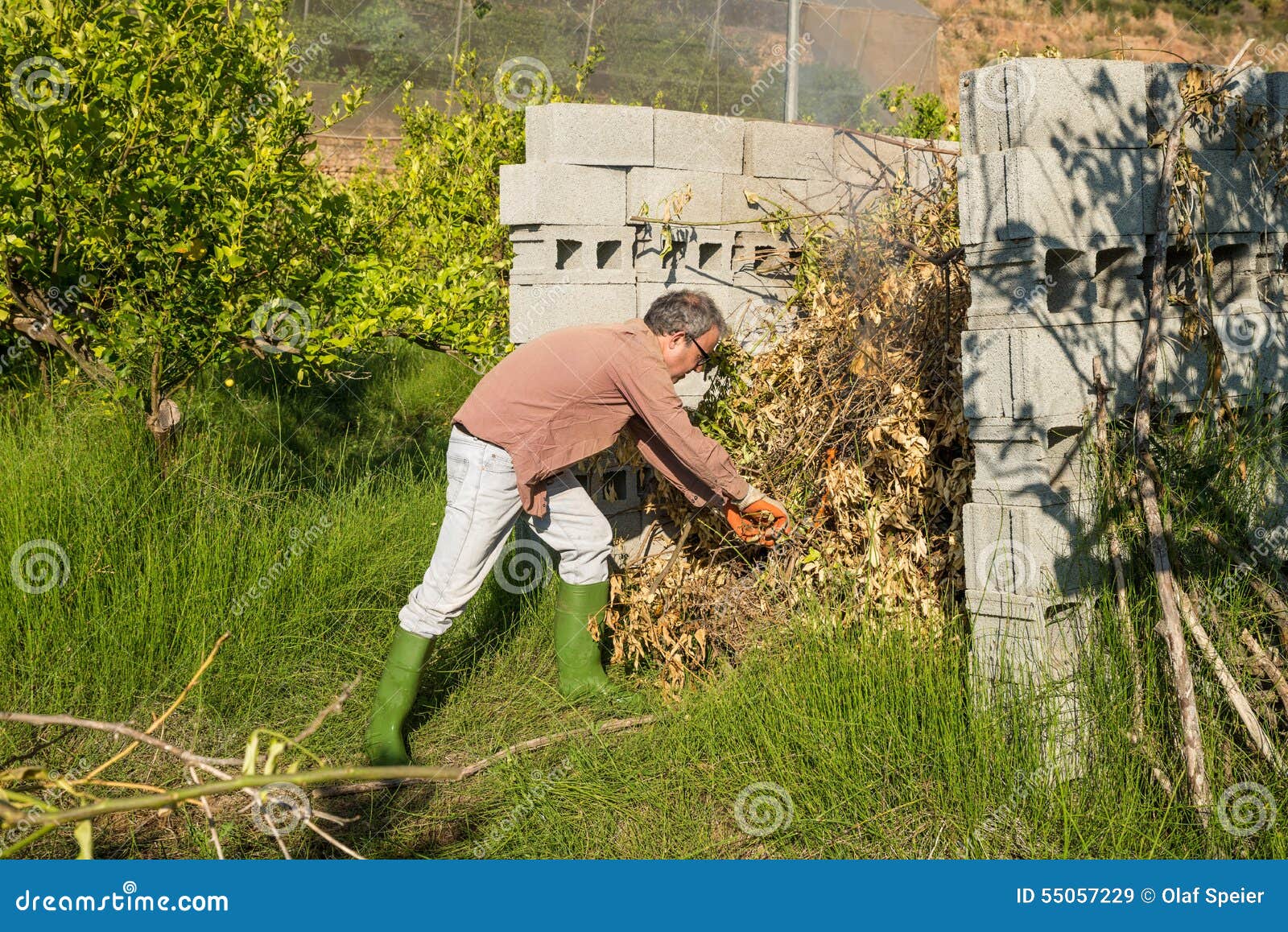 Burning pruning waste stock image. Image of citrus, equipment - 55057229