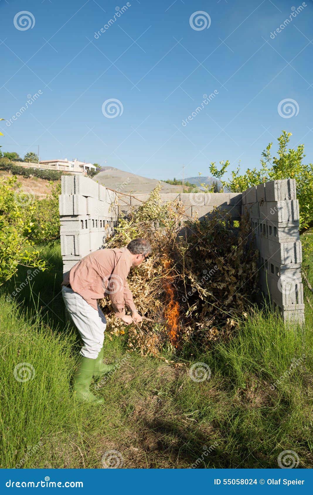 Burning pruning waste stock photo. Image of trees, waste - 55058024