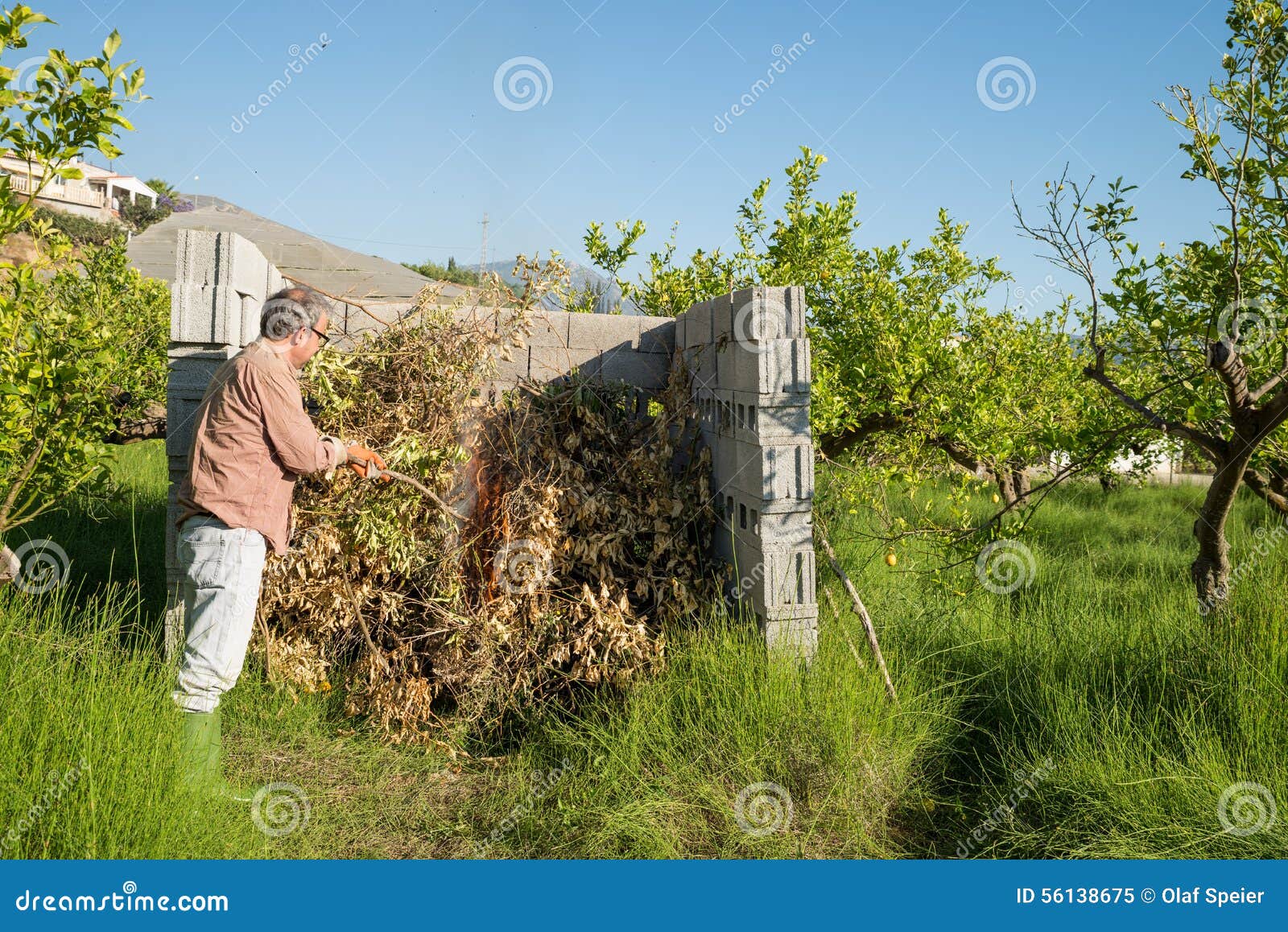 Burning pruning waste stock image. Image of safety, fire - 56138675