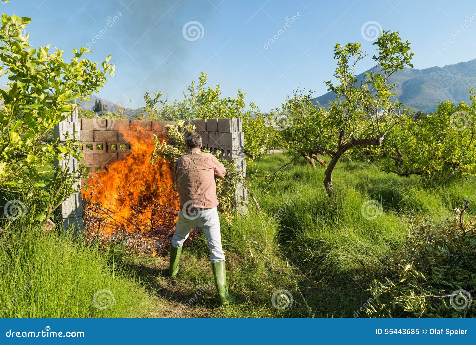 Burning pruning waste stock image. Image of igniting - 55443685