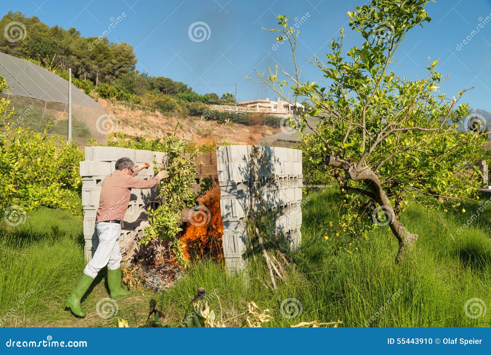 Burning pruning waste stock photo. Image of concrete - 55443910