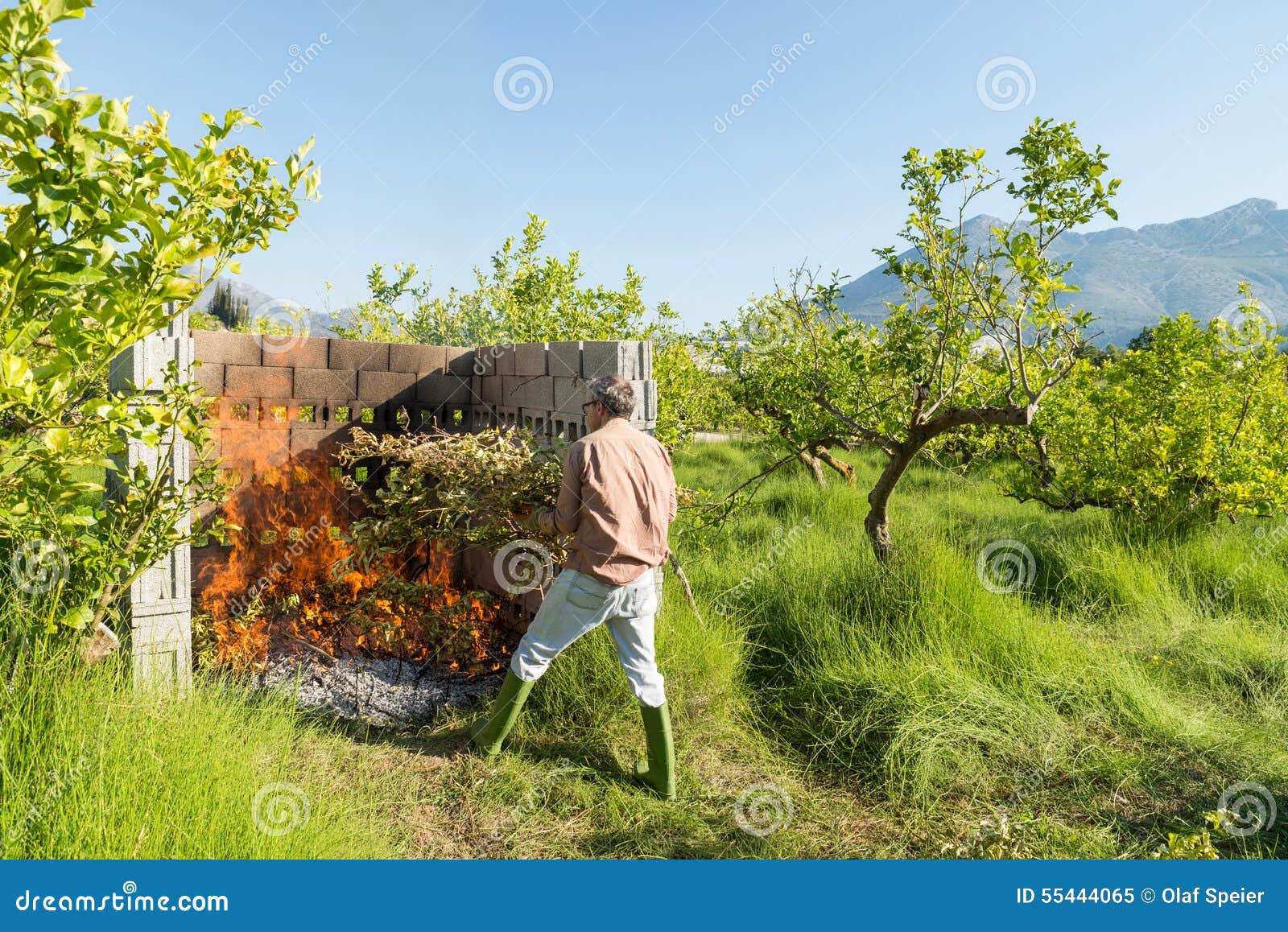 Burning pruning waste stock image. Image of igniting - 55444065