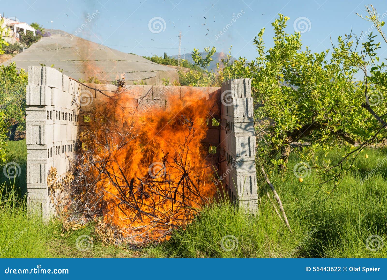 Burning Pruning Waste Royalty-Free Stock Image | CartoonDealer.com ...