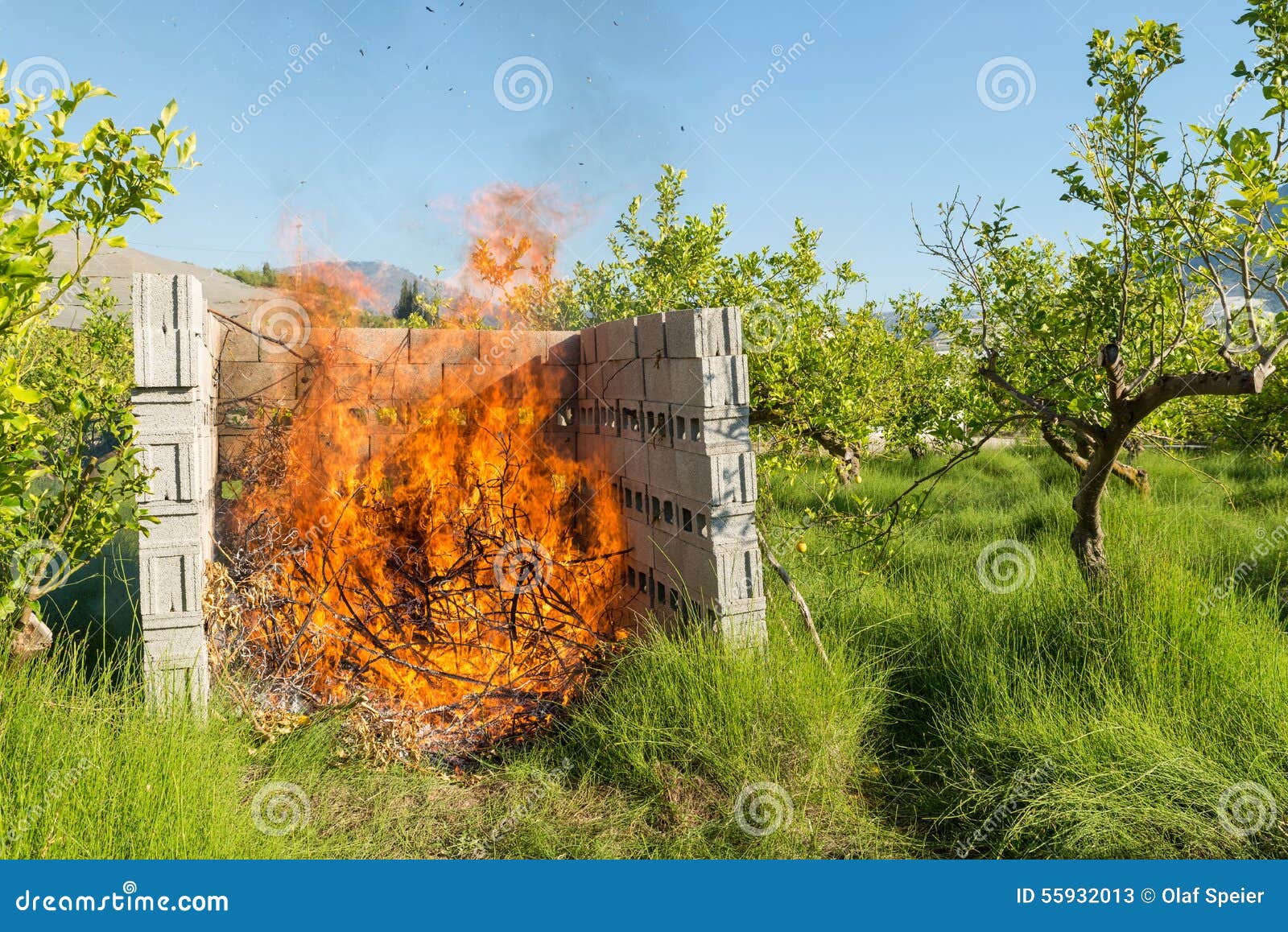 Burning pruning waste stock image. Image of structure - 55932013