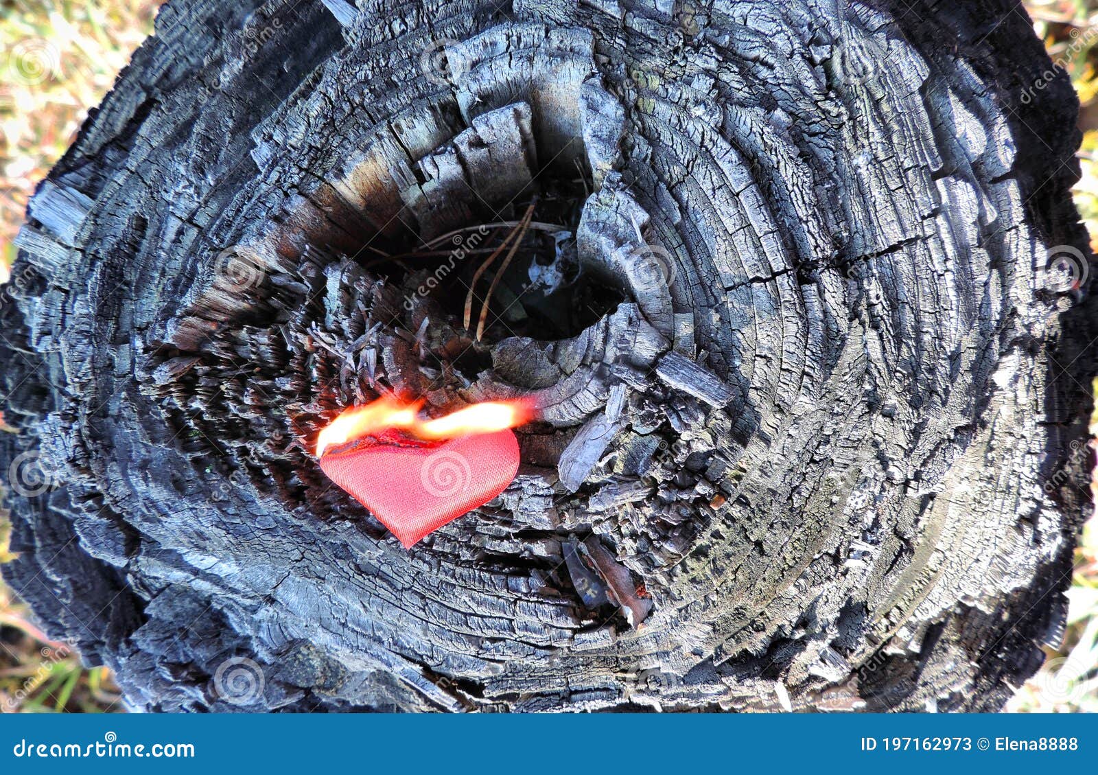 Burning Red Heart in Flames on Burnt Wood , Stock Image - Image of ...