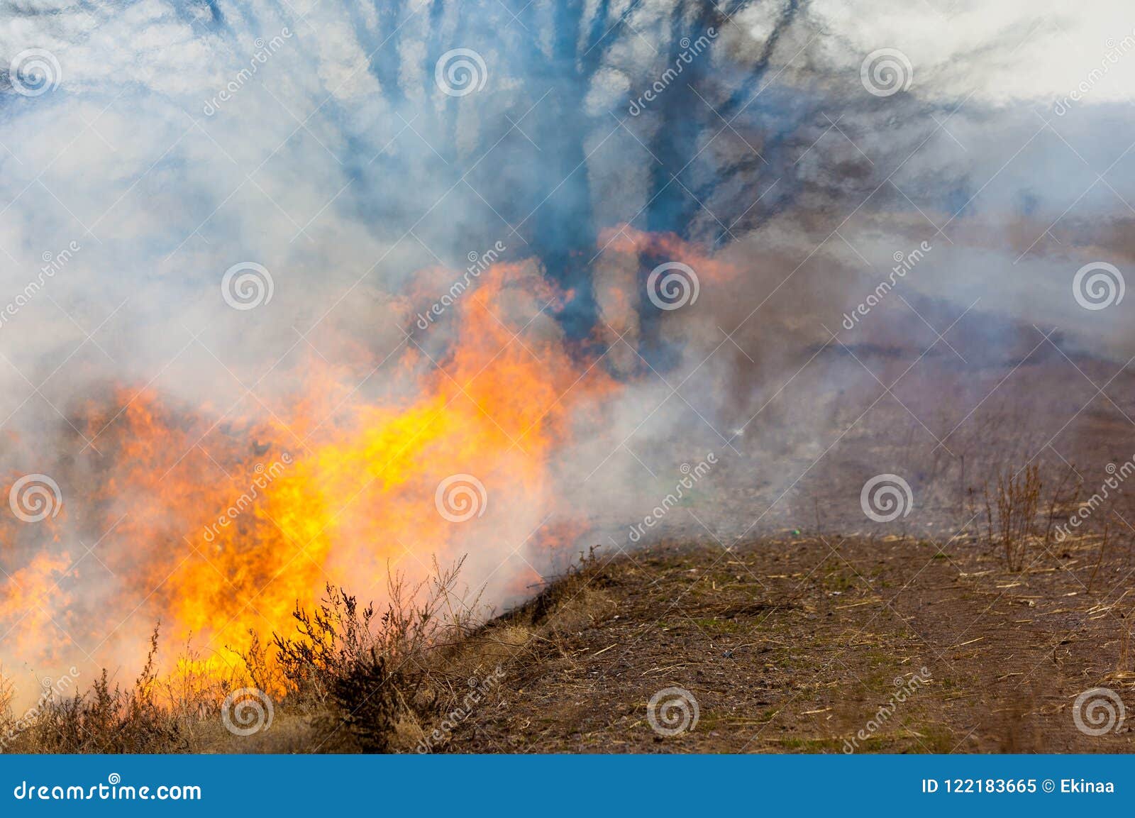 Burning reeds. fire stock image. Image of environment - 122183665