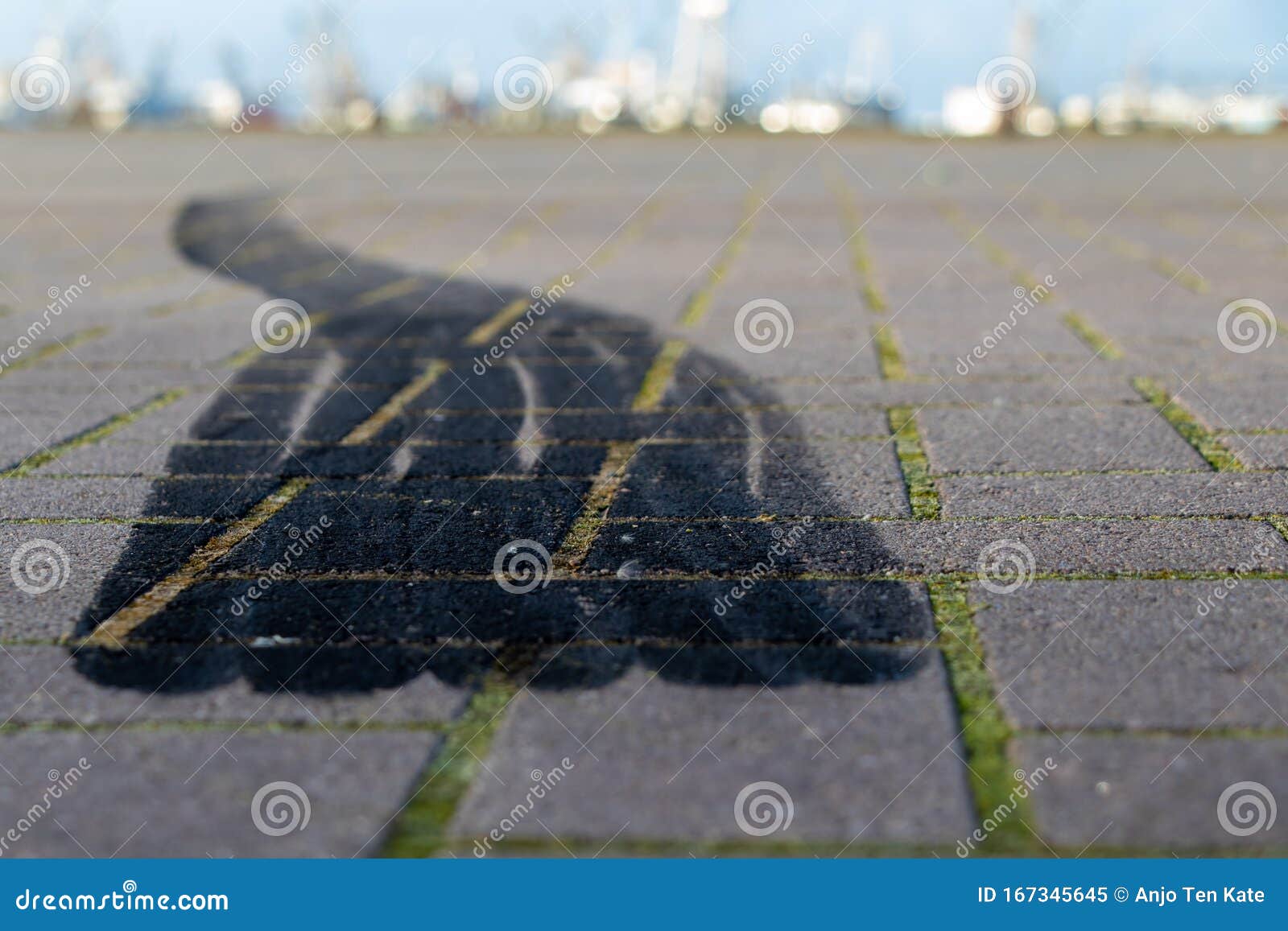Burning rubber details stock image. Image of brake, marks - 167345645