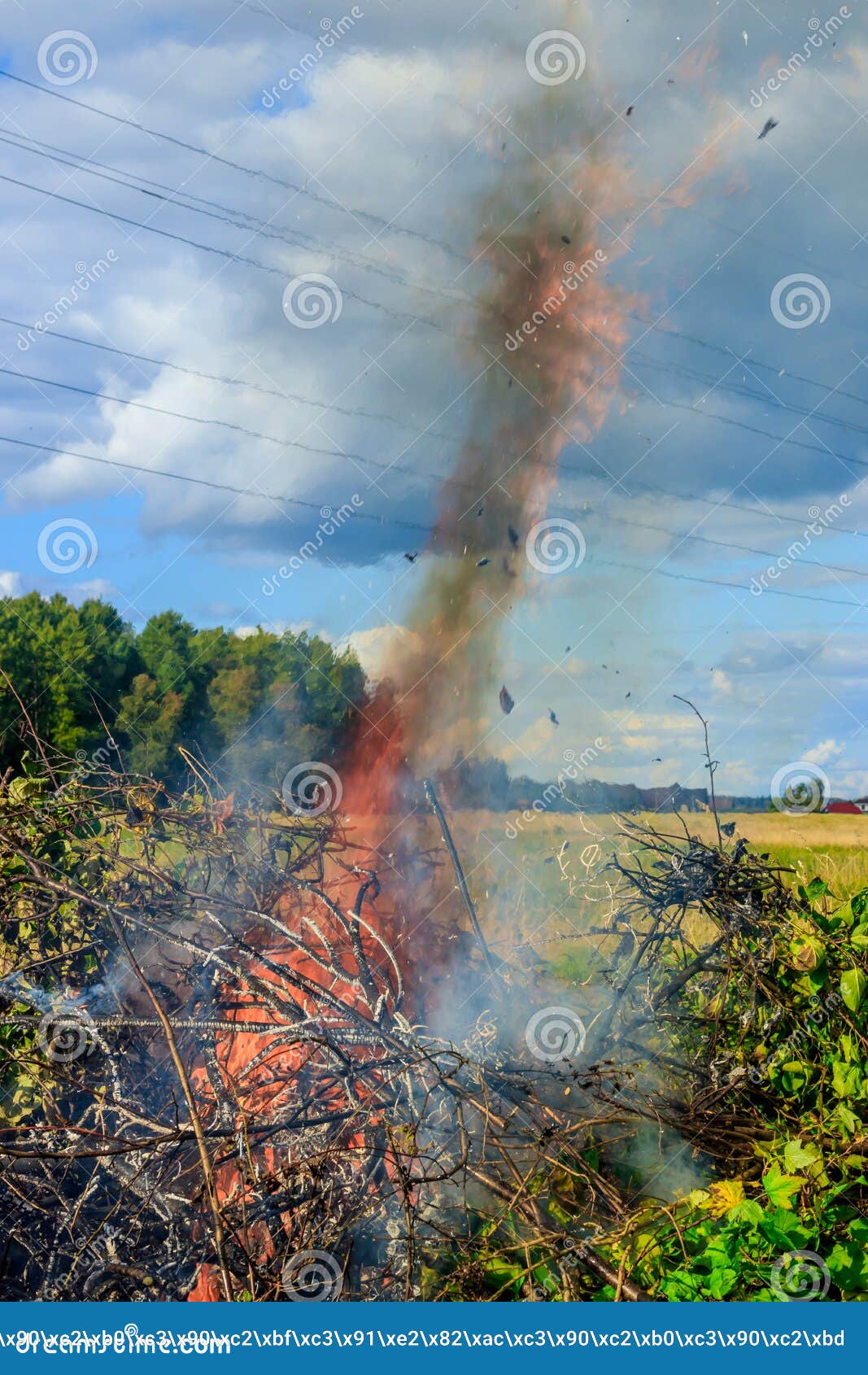Burning Sick Bushes. Big Fire. Smoke from the Fire Stock Photo - Image ...