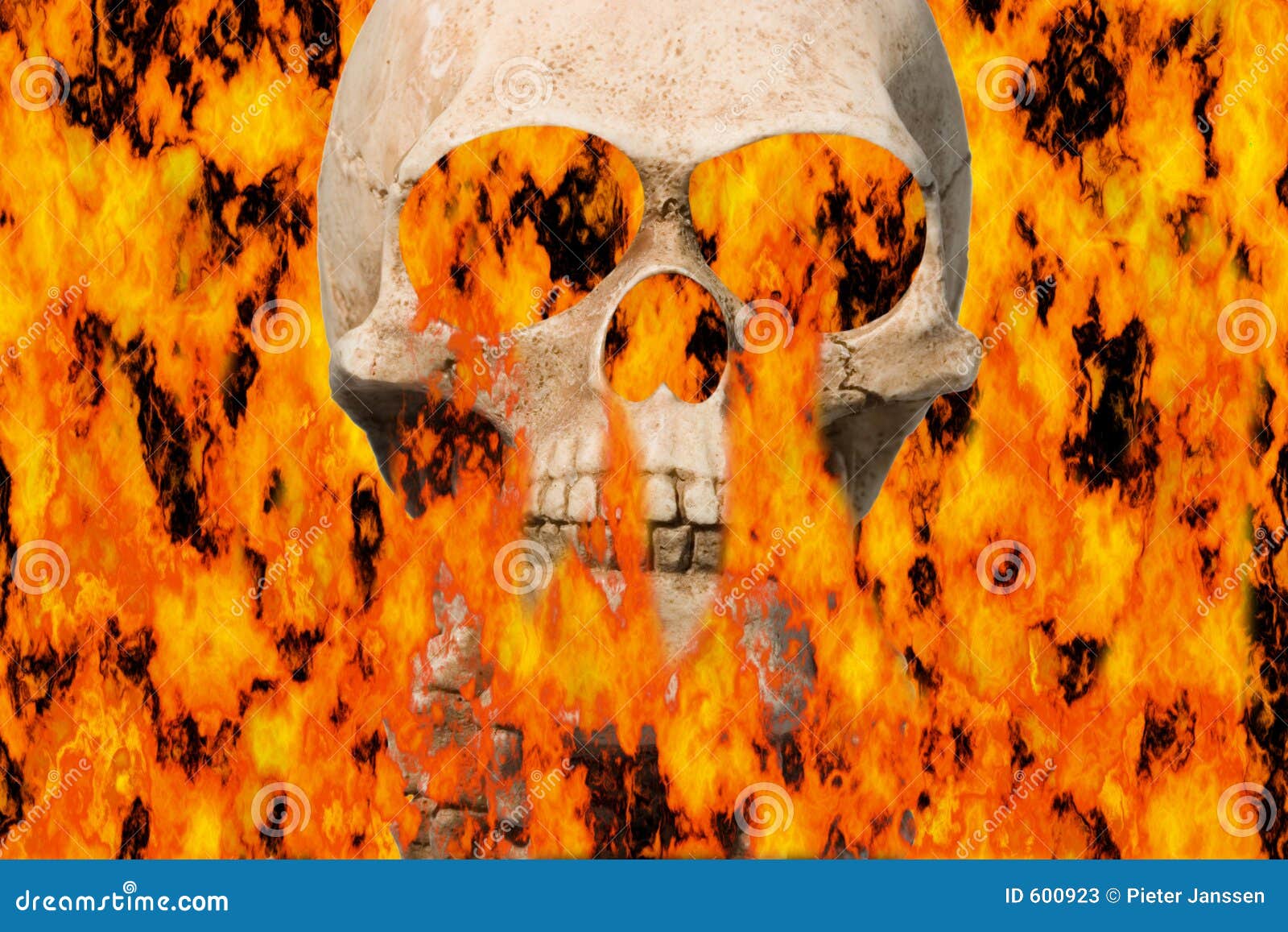 Burning skull stock illustration. Illustration of bone - 600923