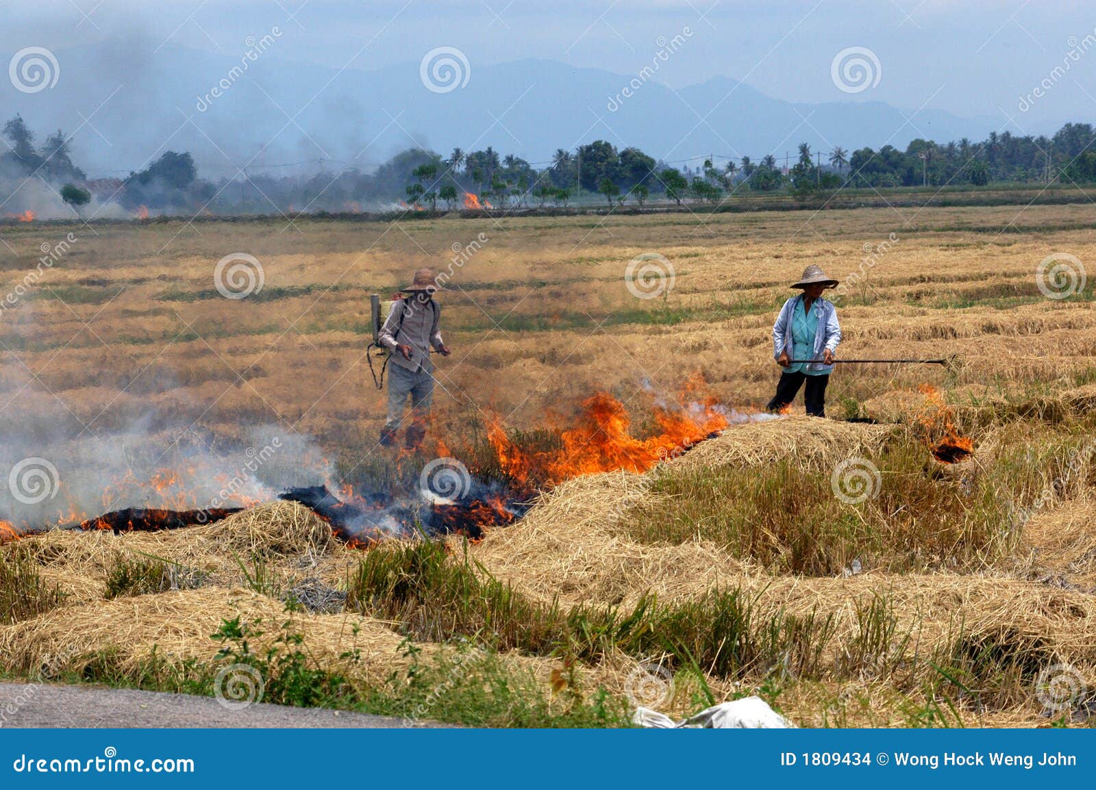 Burning straw stock photo. Image of outdoor, harvesting - 1809434