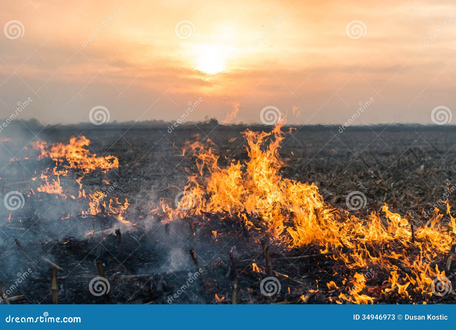 Burning of straw stock image. Image of fire, land, prescribed - 34946973