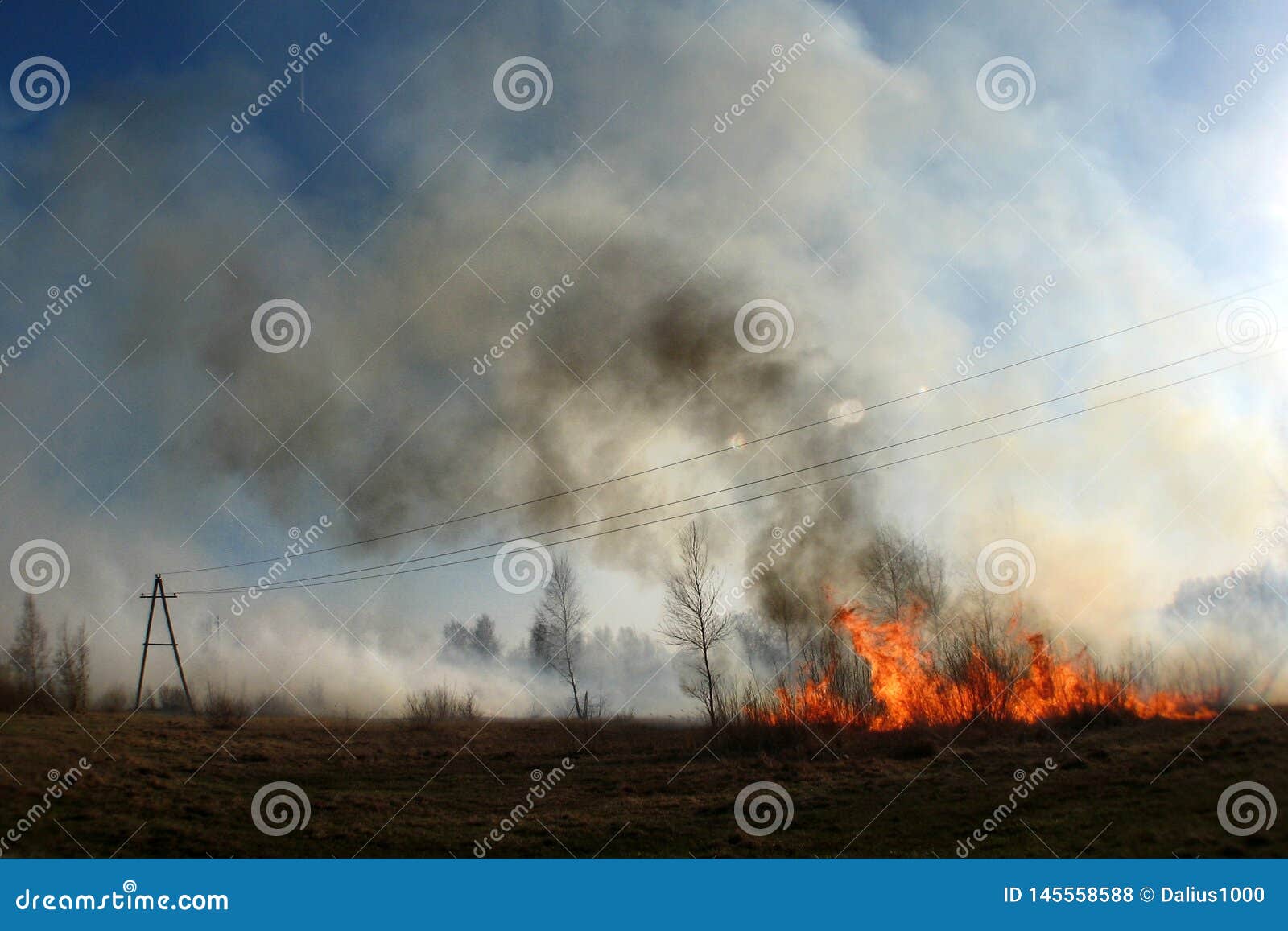 Burning of Straw on the Field Smoke, Fire Stock Photo - Image of land ...